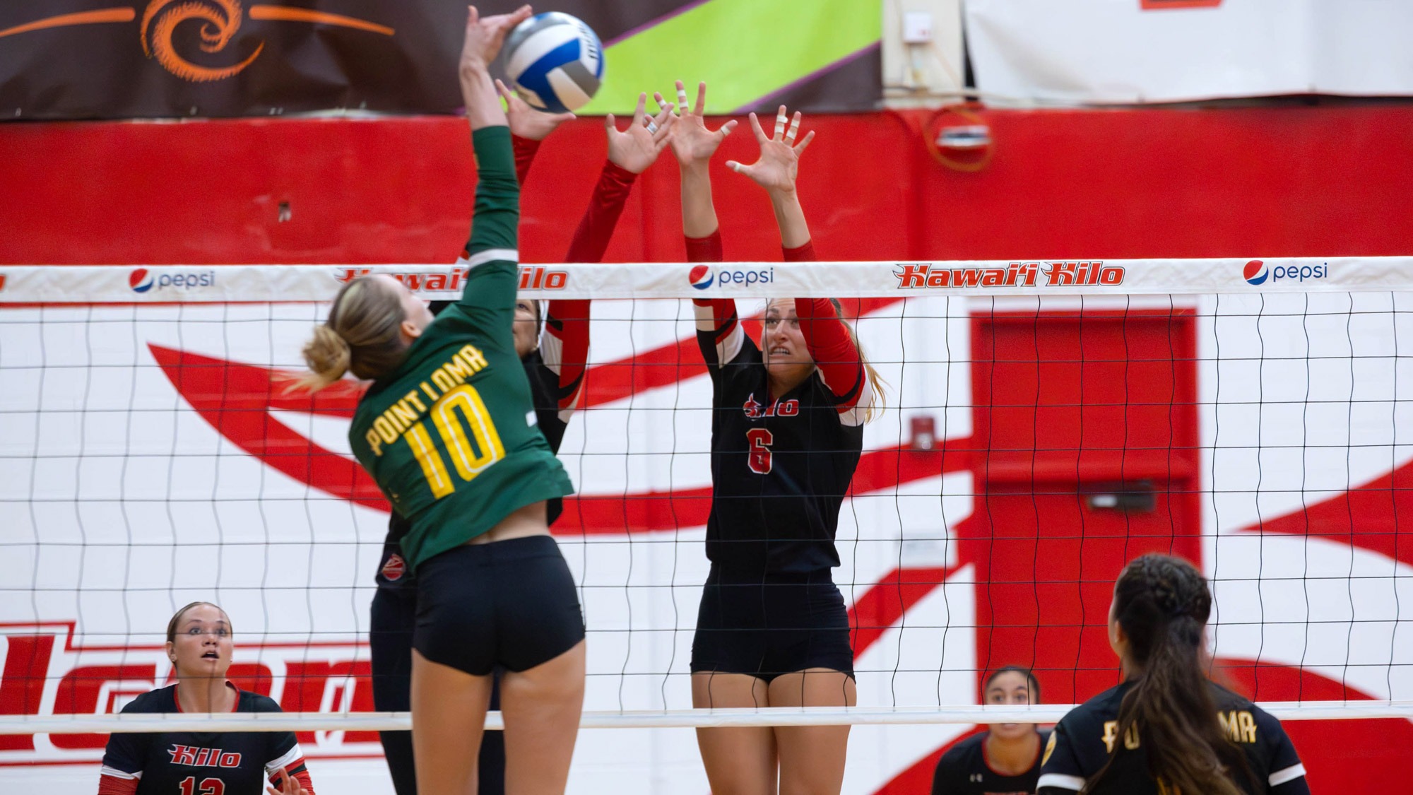 Volleyball Stunted by Sea Lions in Straight Sets - Hawai'i Hilo Vulcans ...
