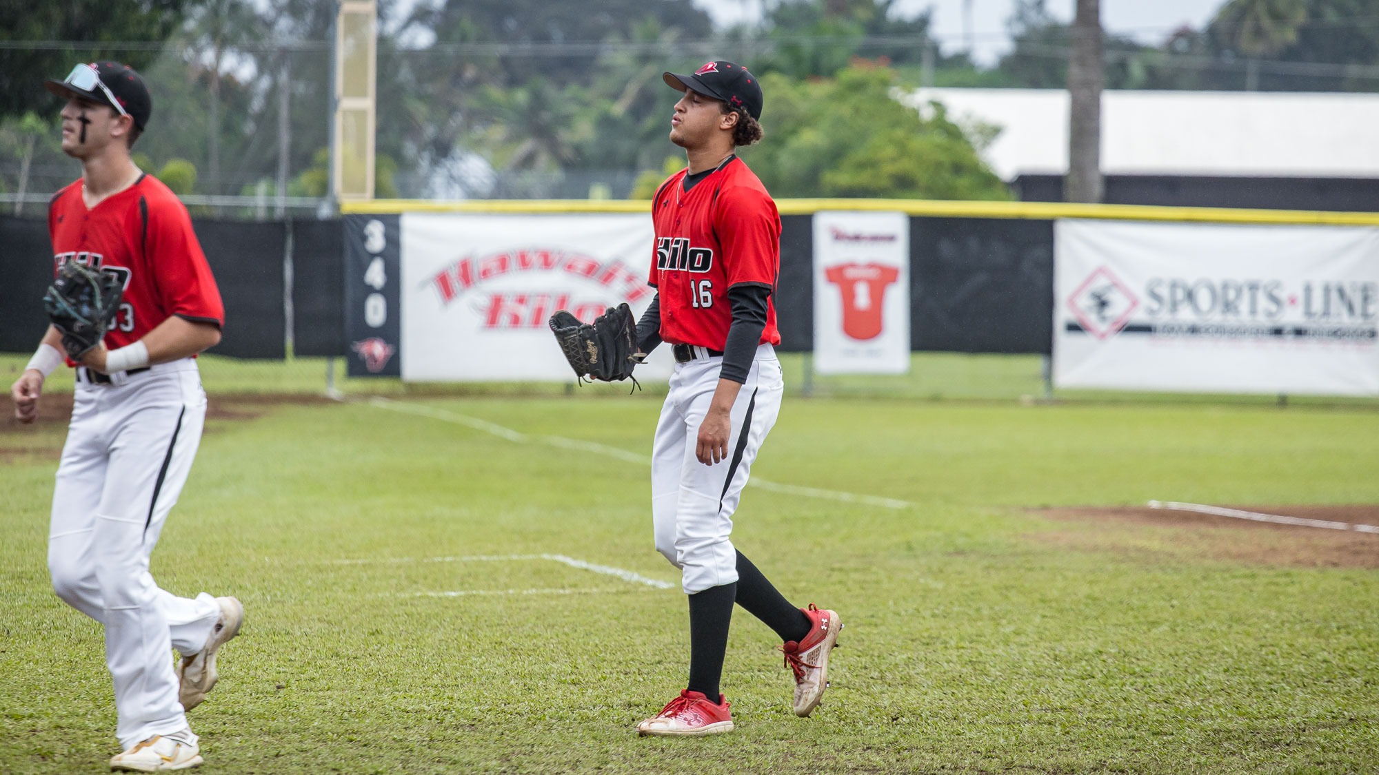 Baseball Splits with Sharks; Davies Sets Strikeouts Record - Hawai'i ...