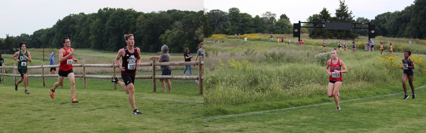 HLGU Cross Country Competes in NAIA Great Lakes Challenge - Hannibal ...