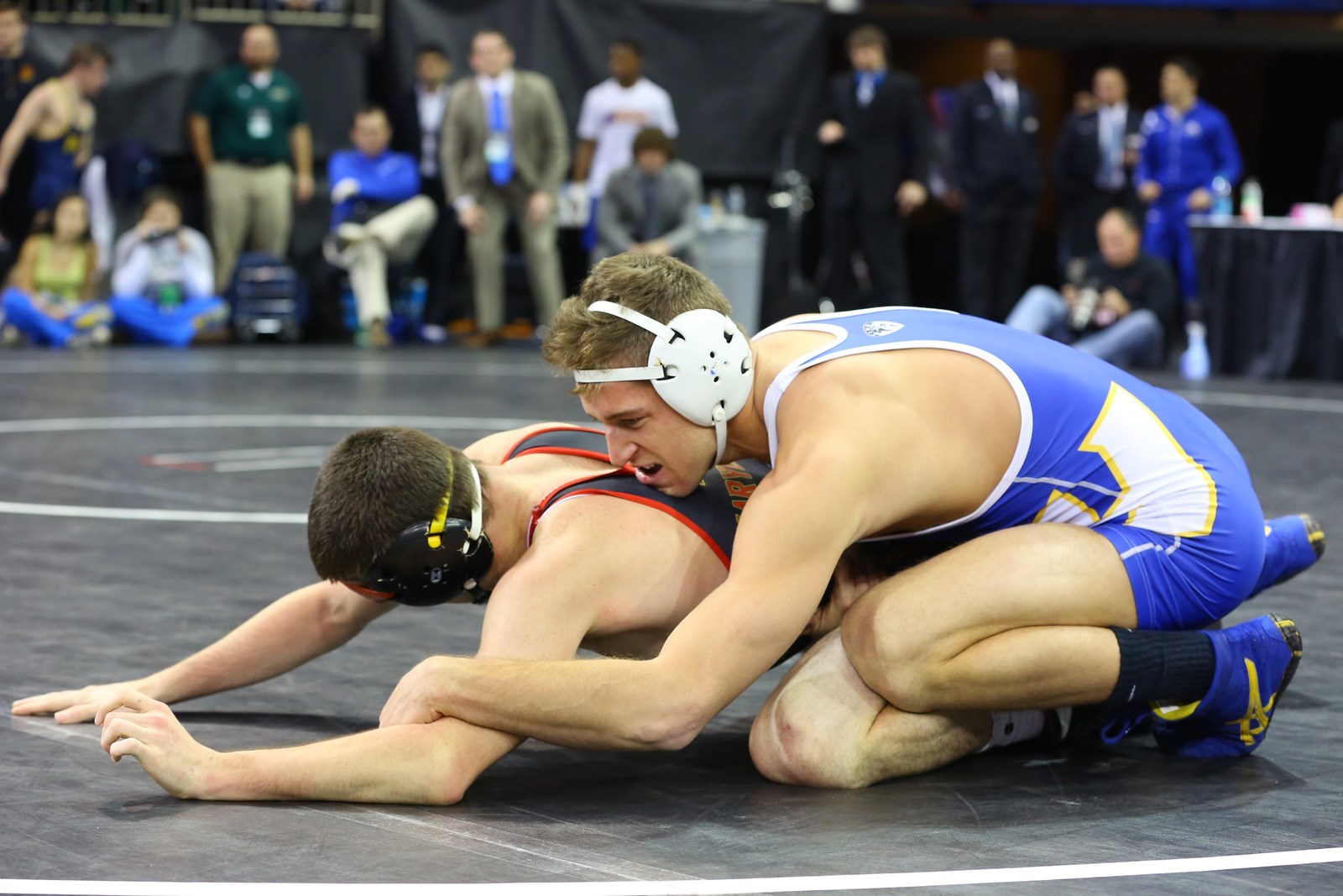 Cody Ruggirello - Wrestling - Hofstra University Athletics