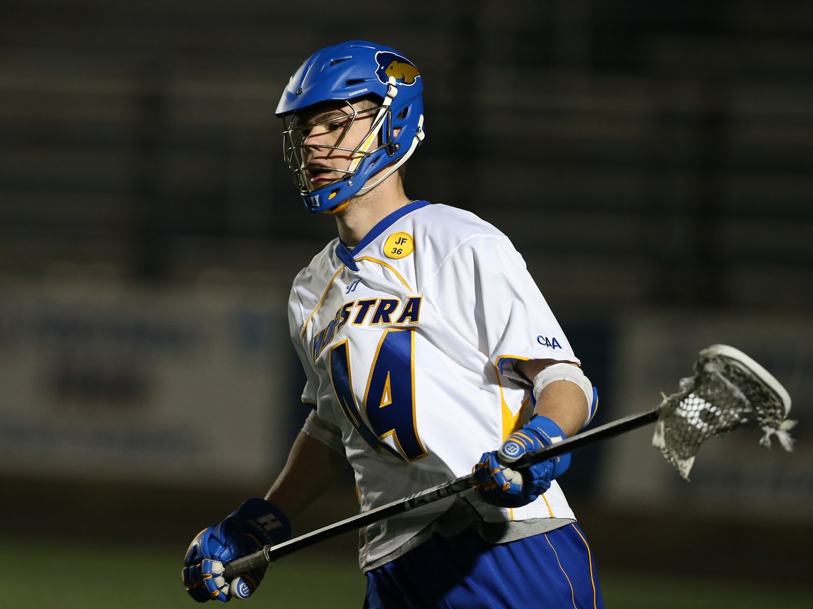 Finn Sullivan - Men's Lacrosse - Hofstra University Athletics