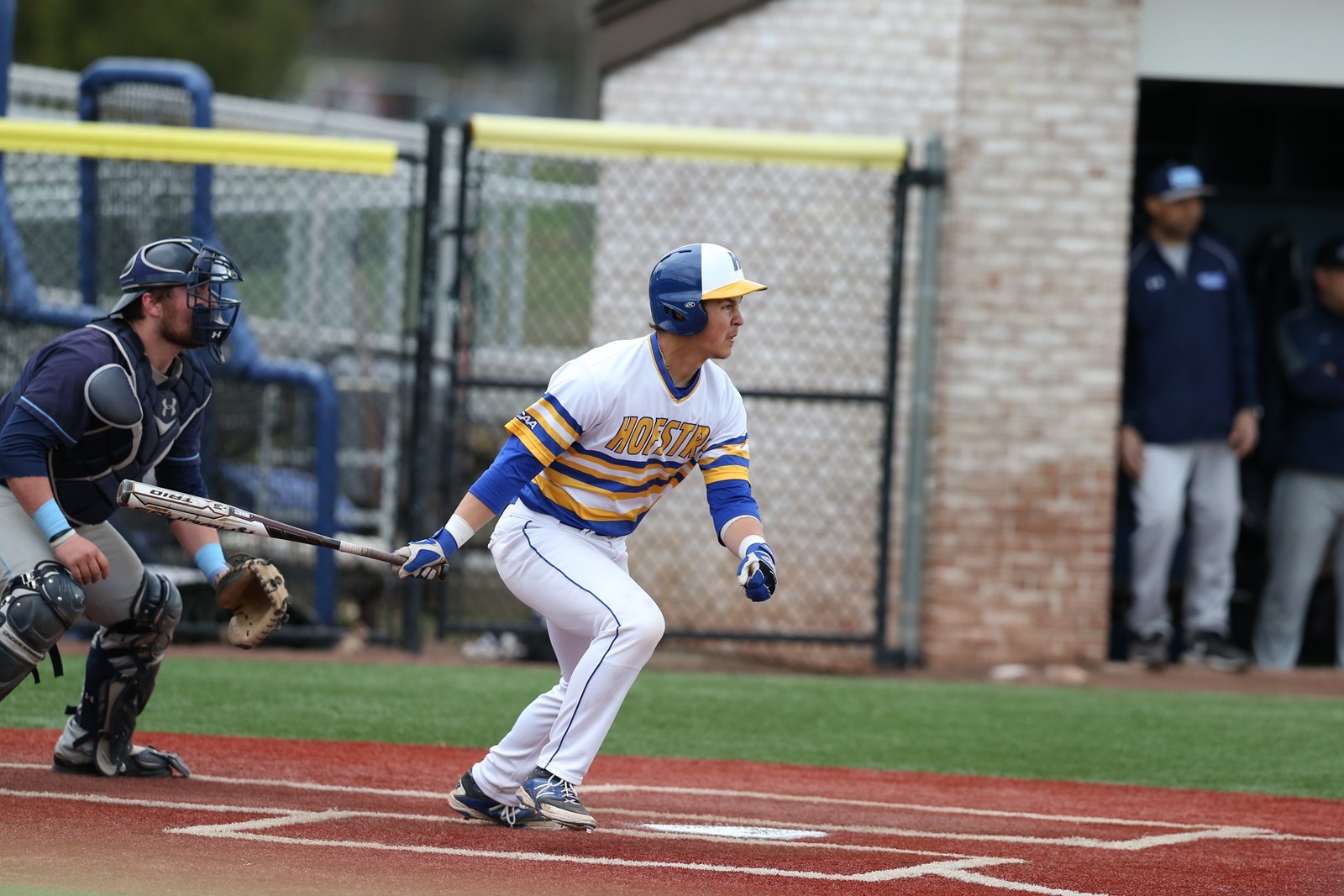 Jake Fallon - Baseball - Hofstra University Athletics