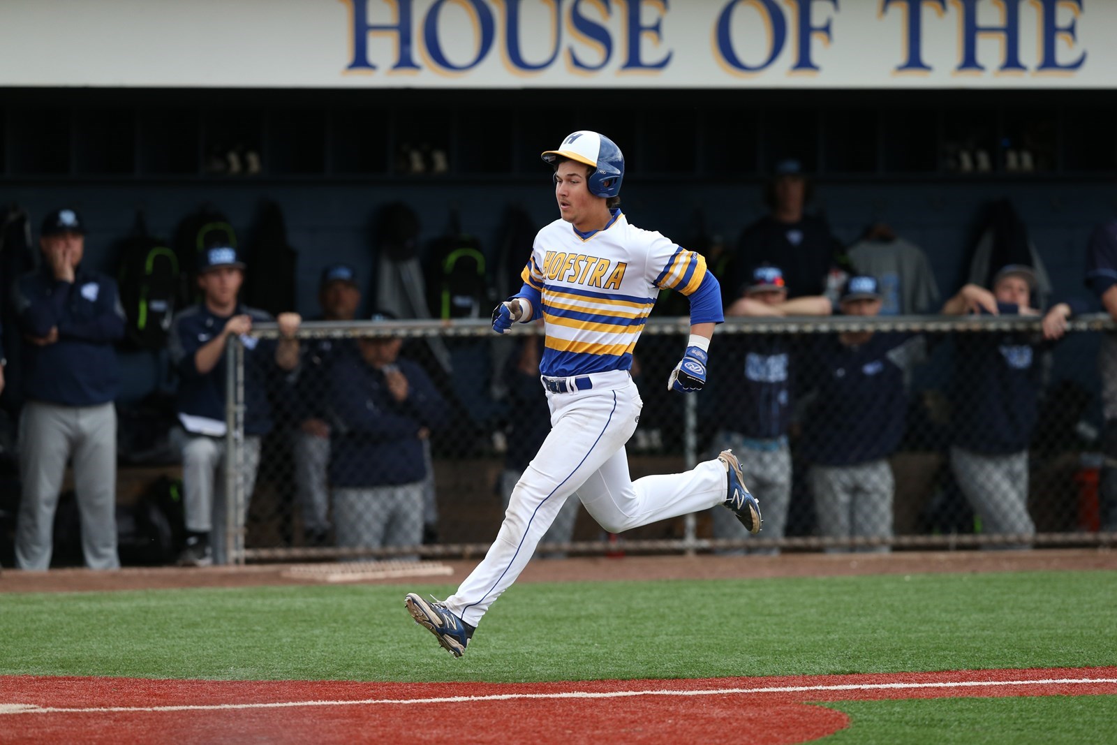 Jake Fallon - Baseball - Hofstra University Athletics
