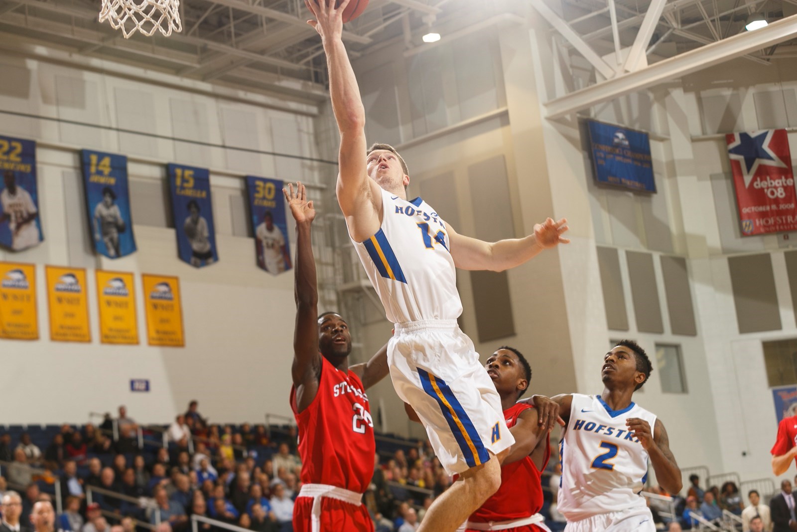 Brian Bernardi - Men's Basketball - Hofstra University Athletics
