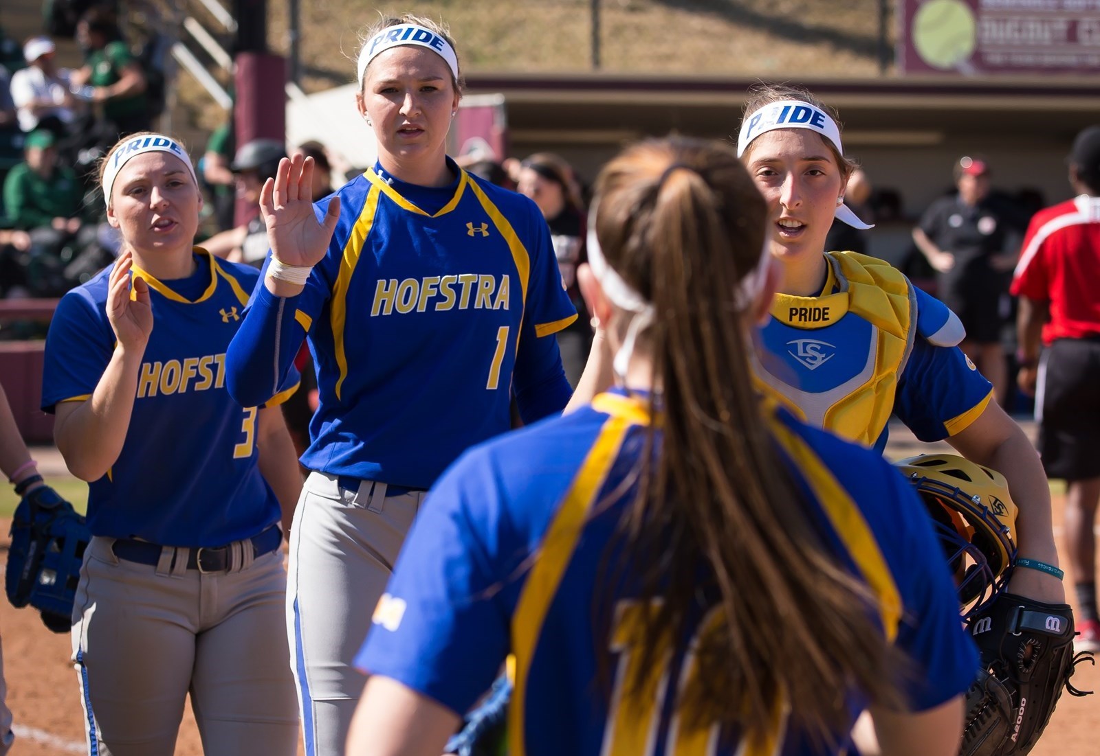 Chloe Fitzgerald - Softball - Hofstra University Athletics