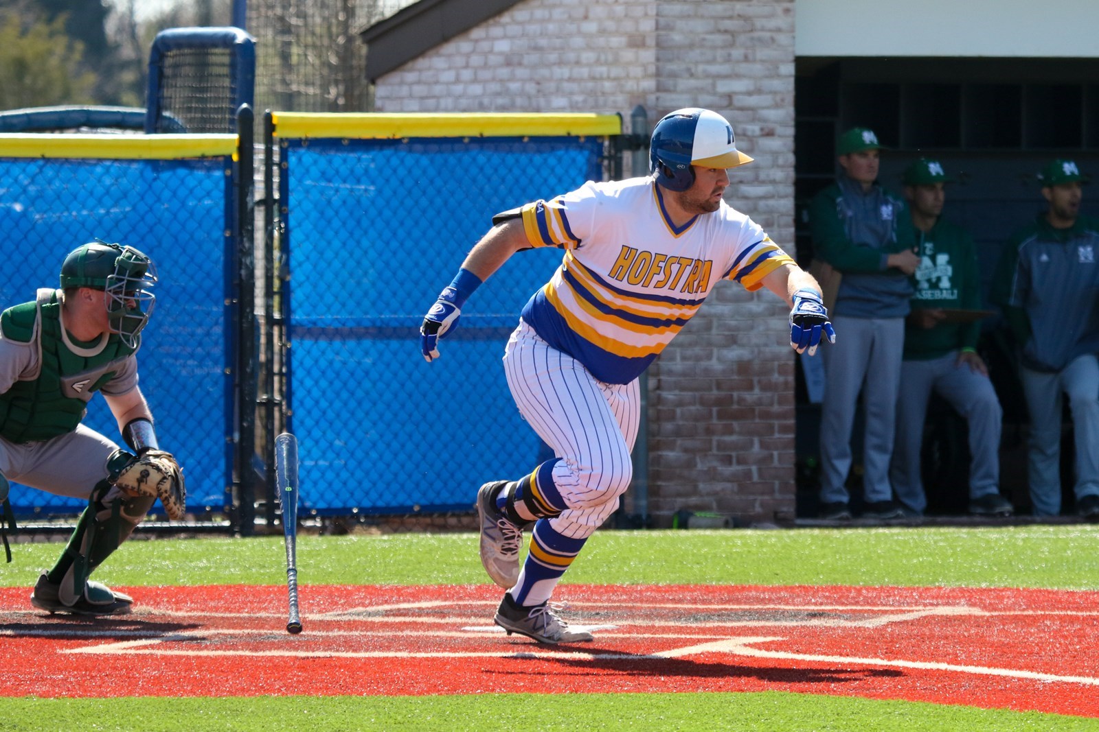 Max Dolente - Baseball - Hofstra University Athletics