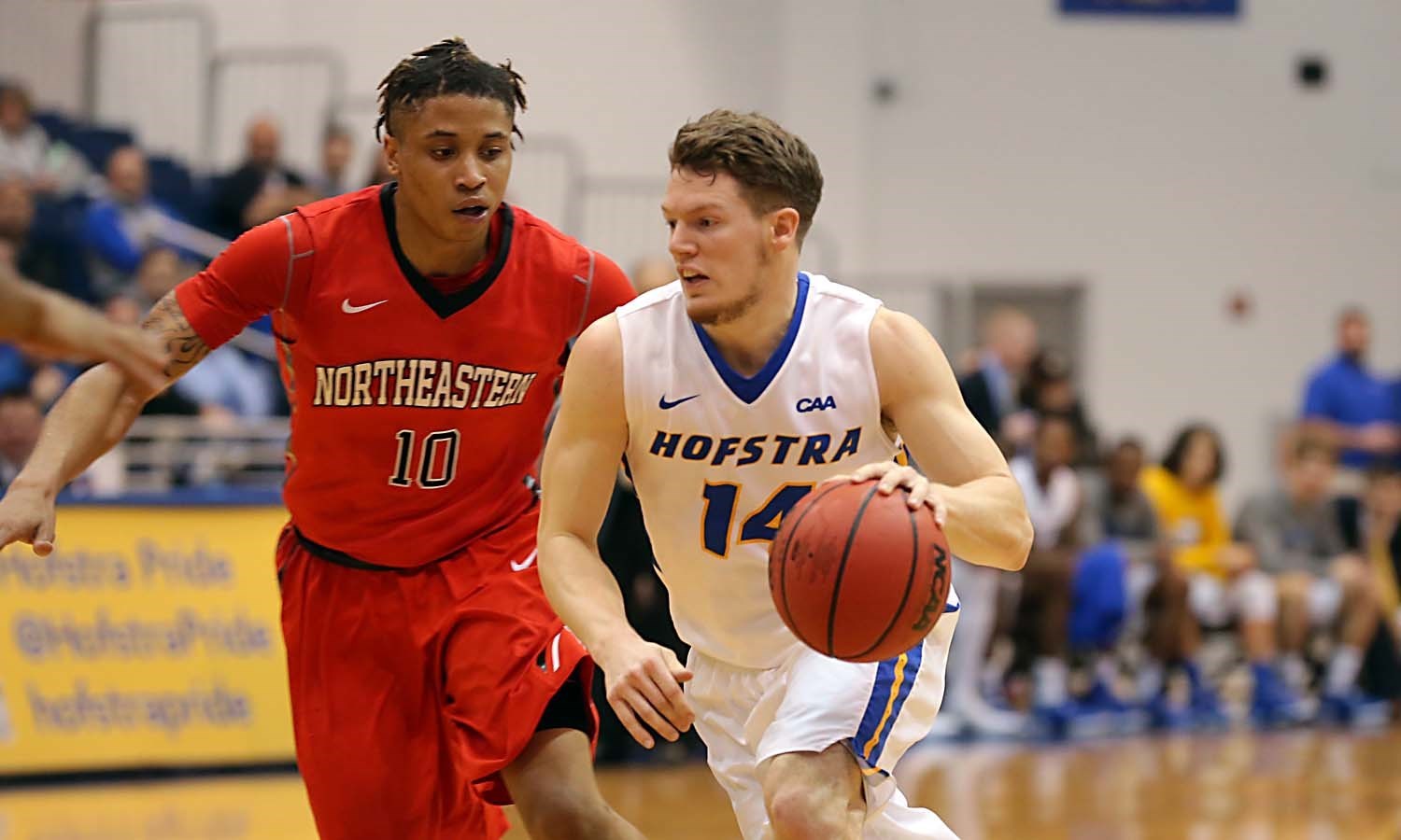 Brian Bernardi - Men's Basketball - Hofstra University Athletics