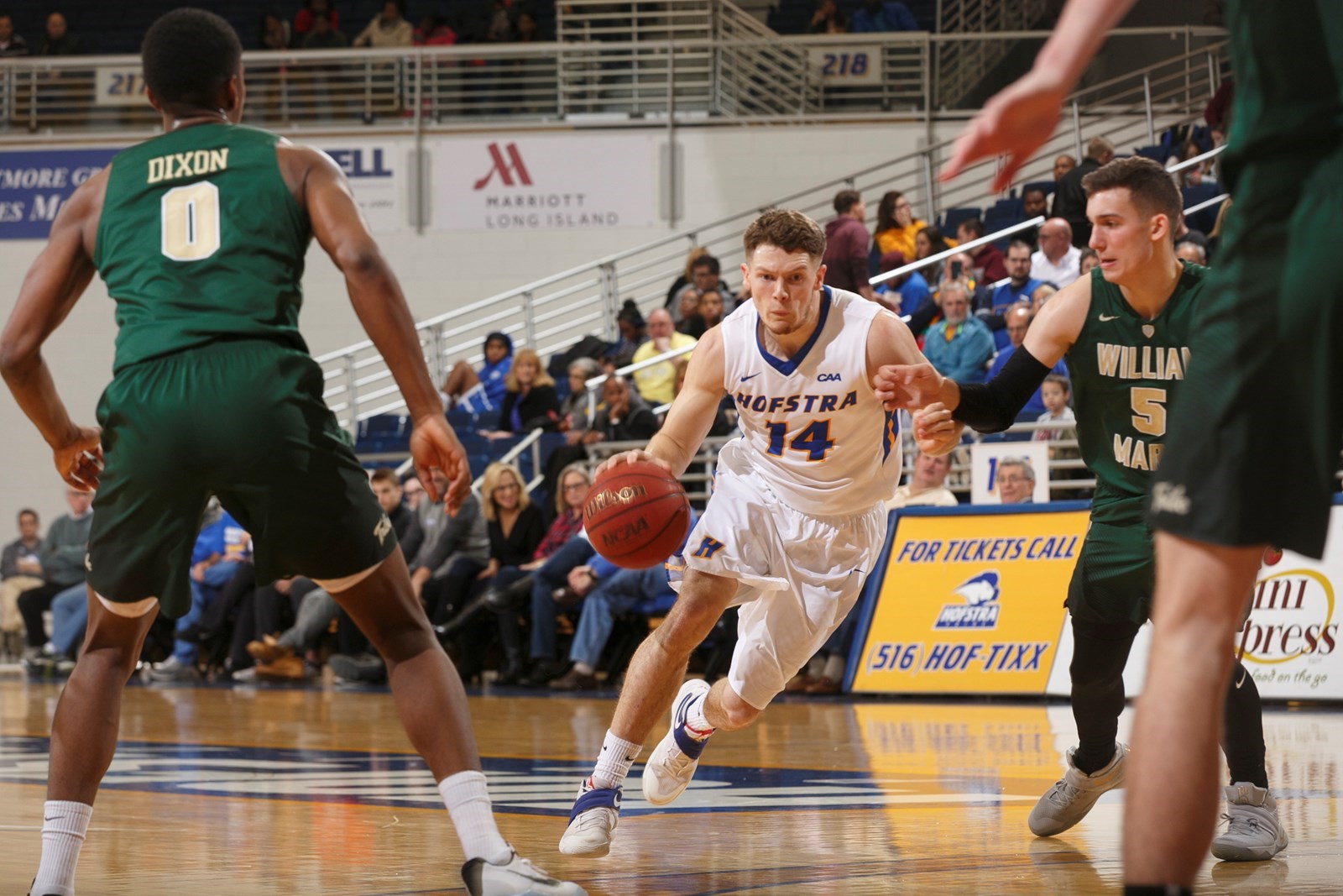 Brian Bernardi - Men's Basketball - Hofstra University Athletics