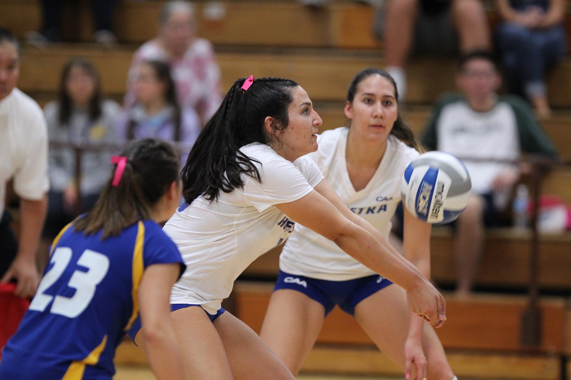 Ivania Ortiz - Volleyball - Hofstra University Athletics