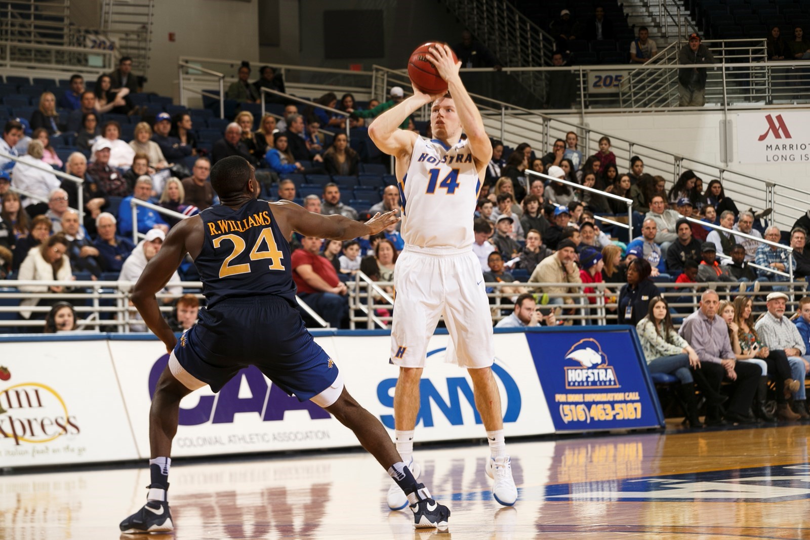 Brian Bernardi - Men's Basketball - Hofstra University Athletics