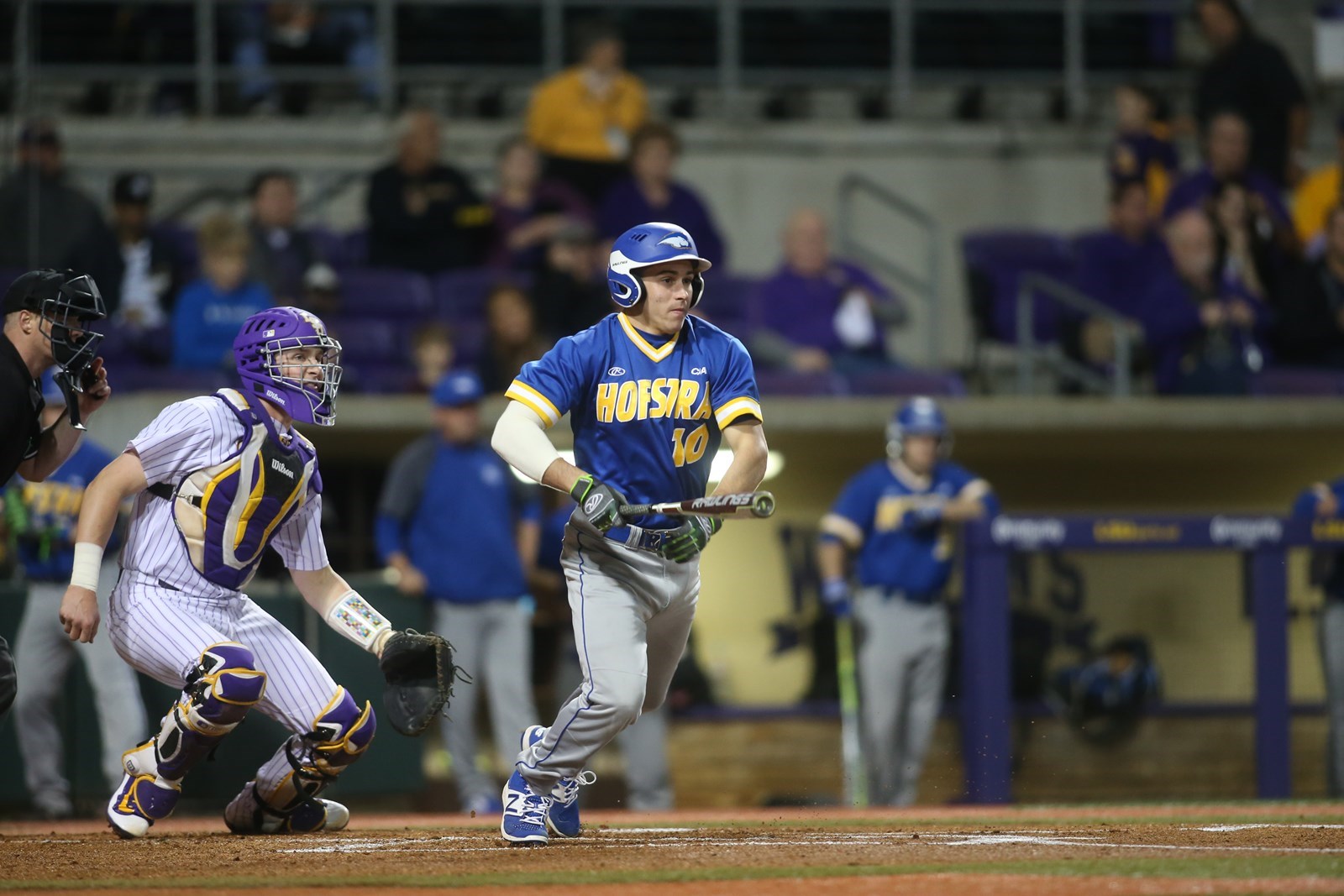 Steven Foster - Baseball - Hofstra University Athletics