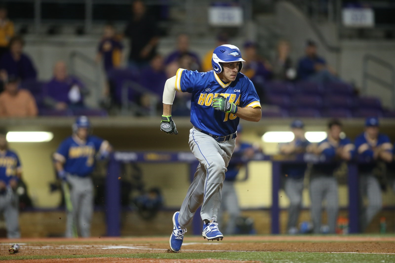 Steven Foster - Baseball - Hofstra University Athletics