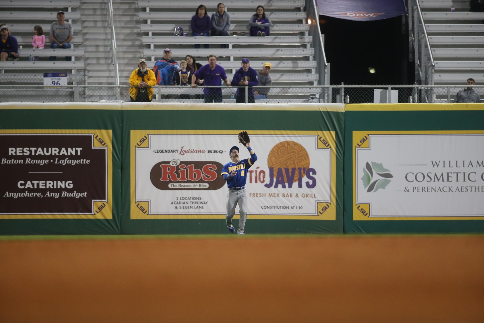 Sean Rausch - Baseball - Hofstra University Athletics