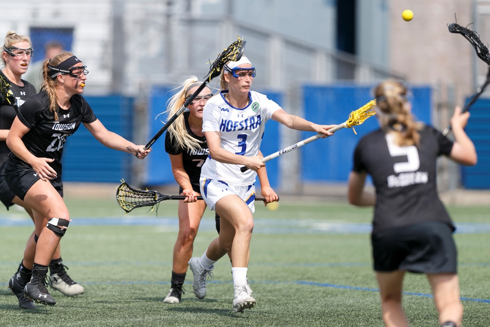 Drew Shapiro - Women's Lacrosse - Hofstra University Athletics