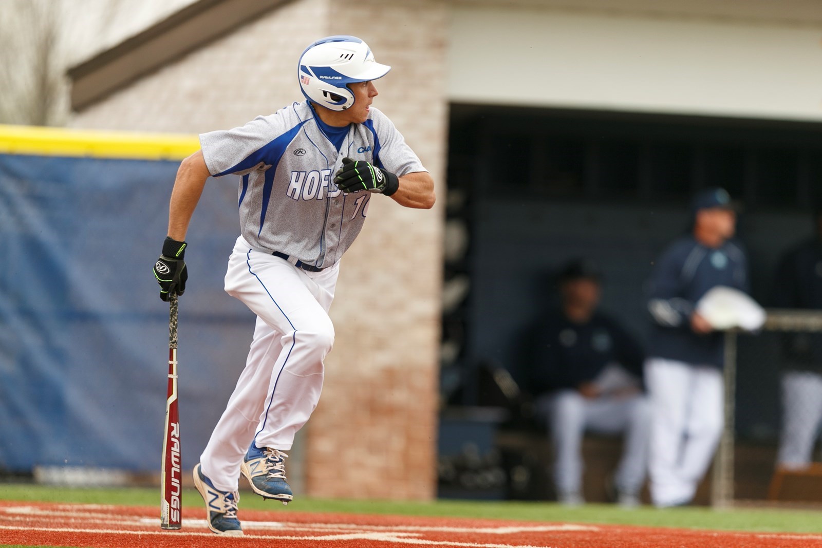 Steven Foster - Baseball - Hofstra University Athletics