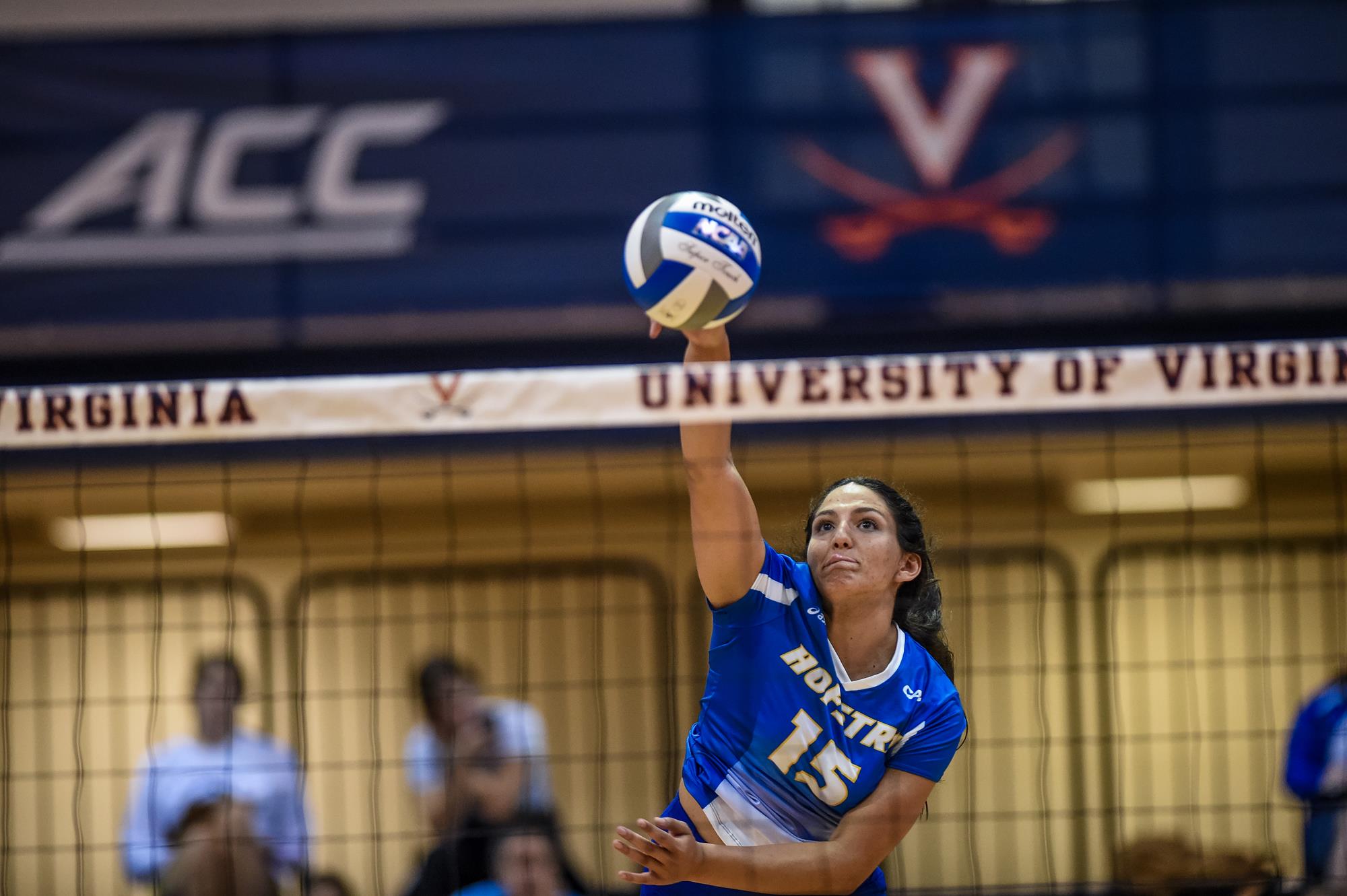 Ivania Ortiz - Volleyball - Hofstra University Athletics