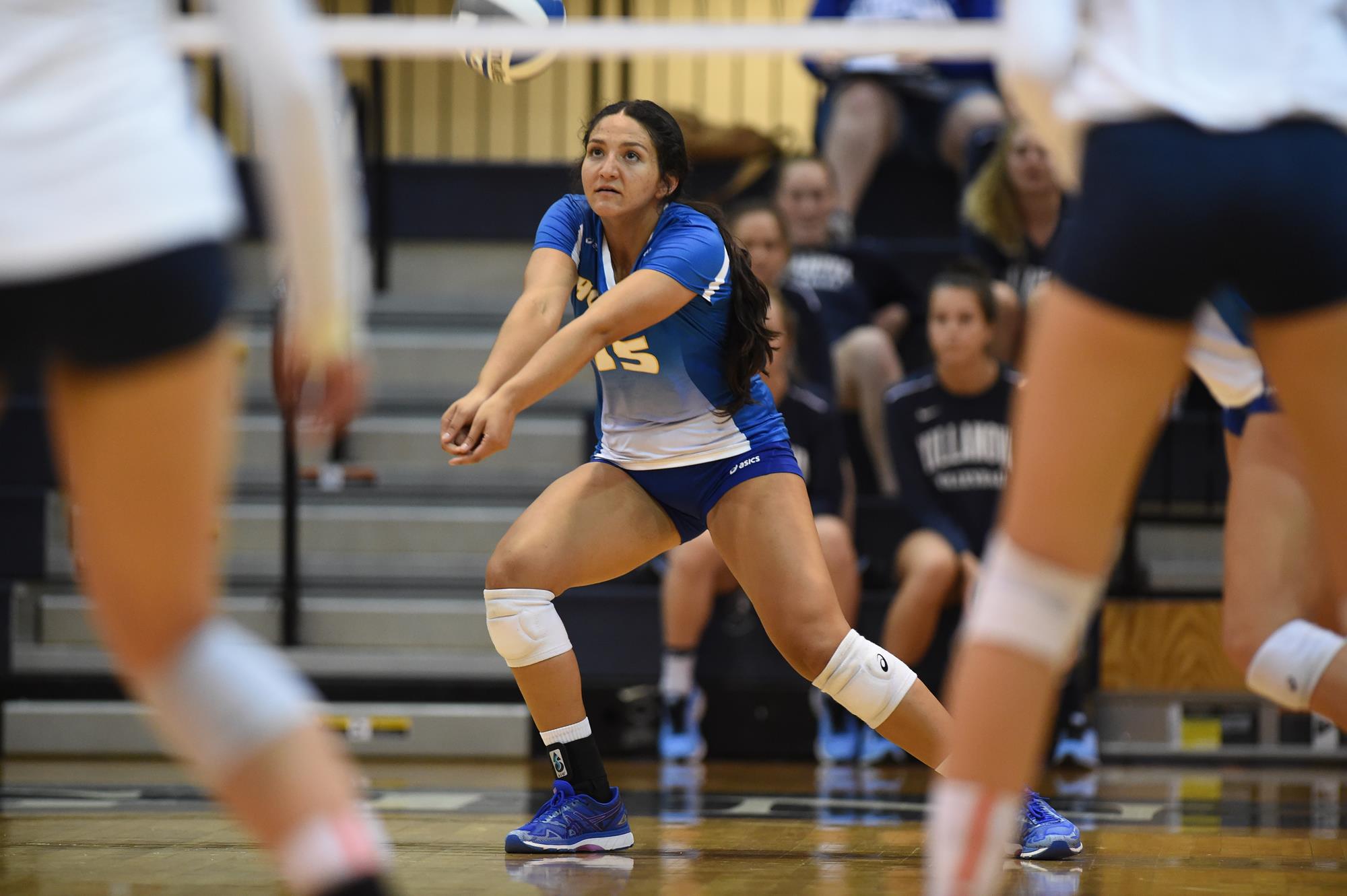Ivania Ortiz - Volleyball - Hofstra University Athletics