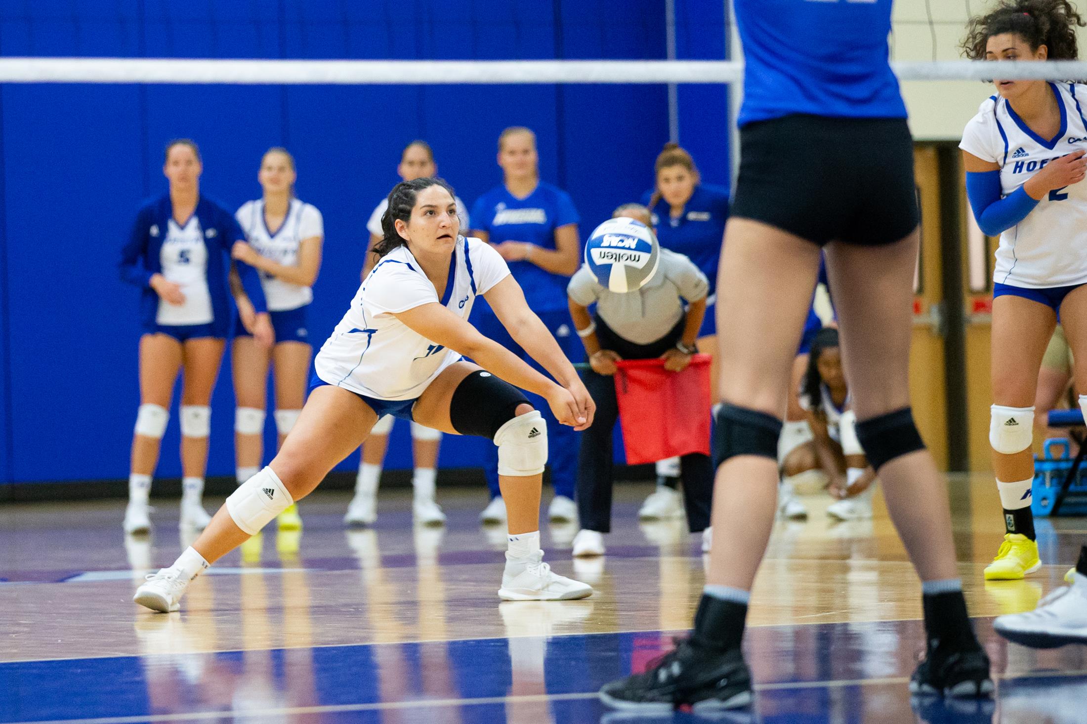 Ivania Ortiz - Volleyball - Hofstra University Athletics
