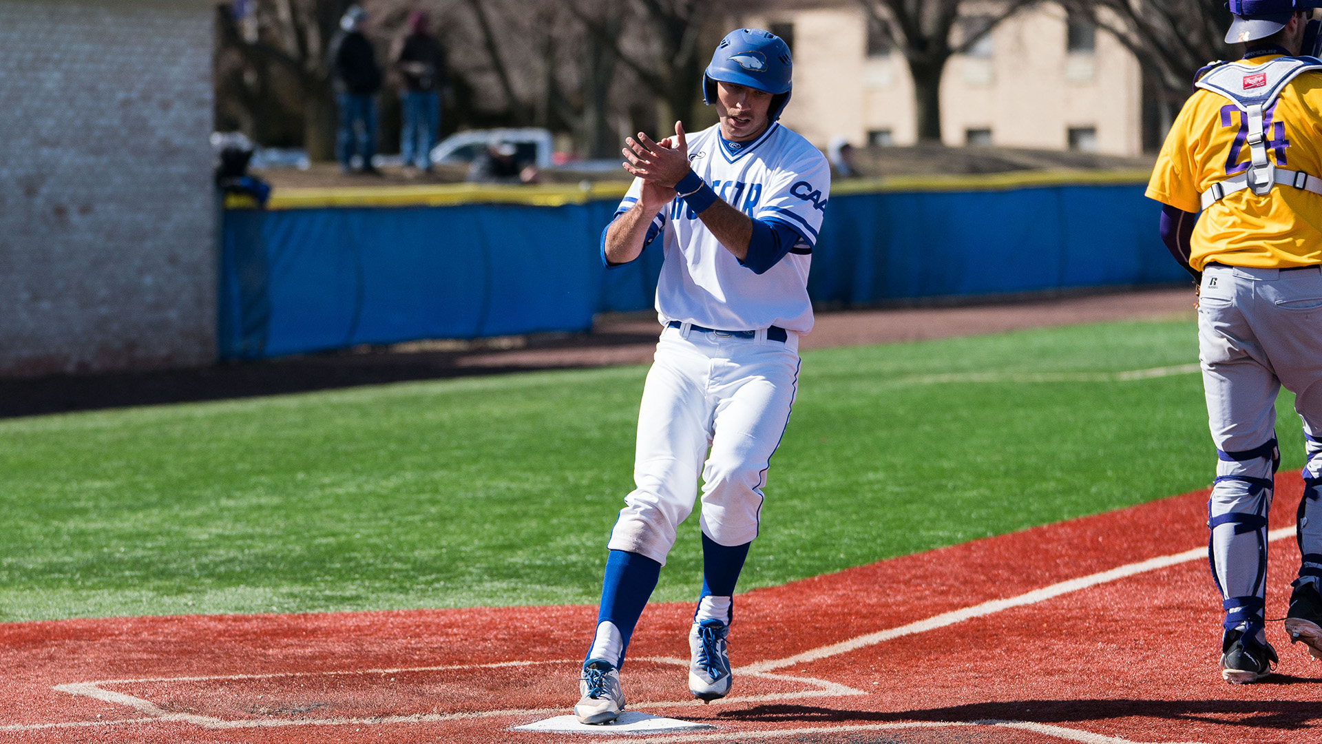 Vinnie Costello - Baseball - Hofstra University Athletics