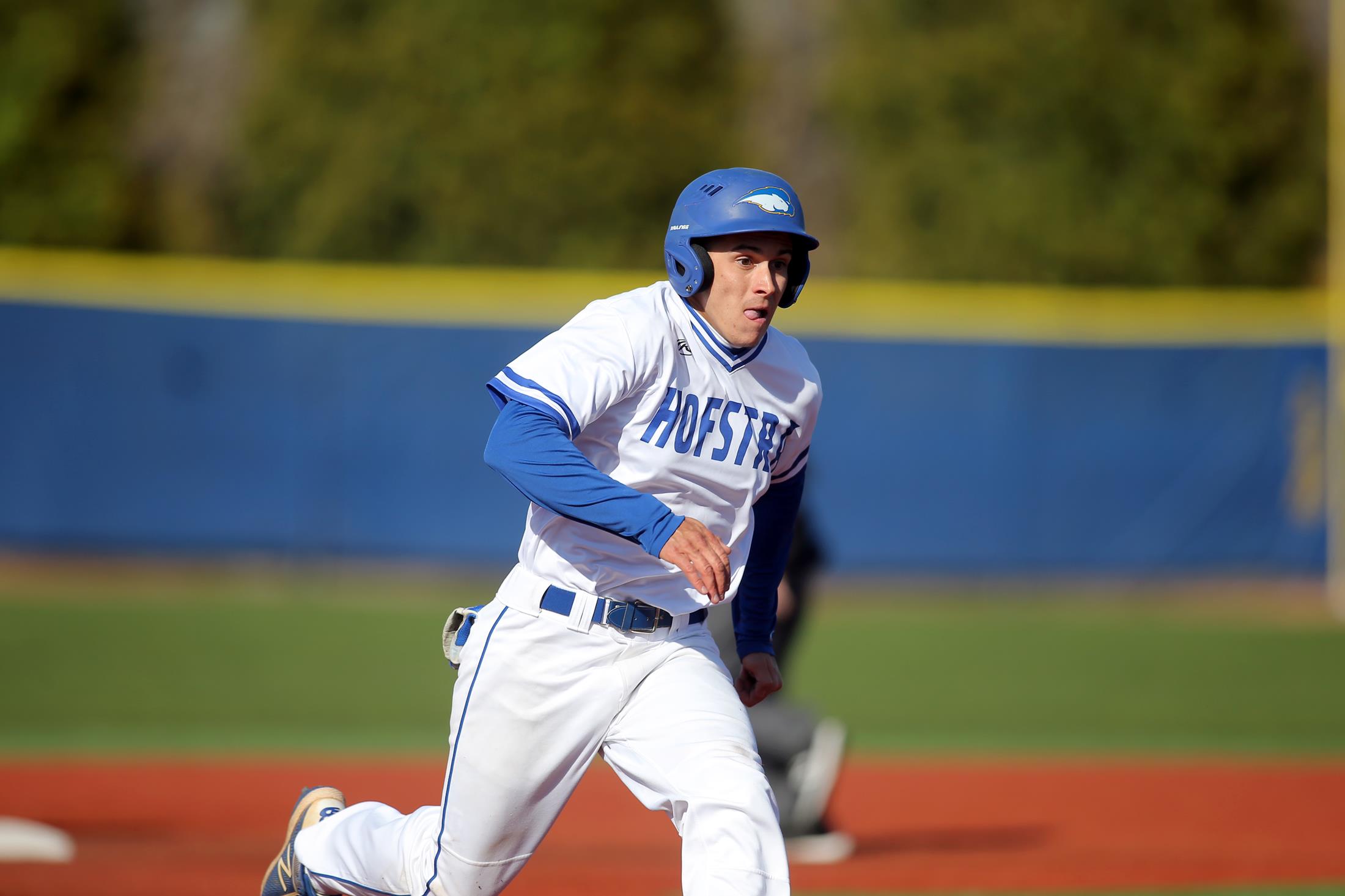 Steven Foster - Baseball - Hofstra University Athletics