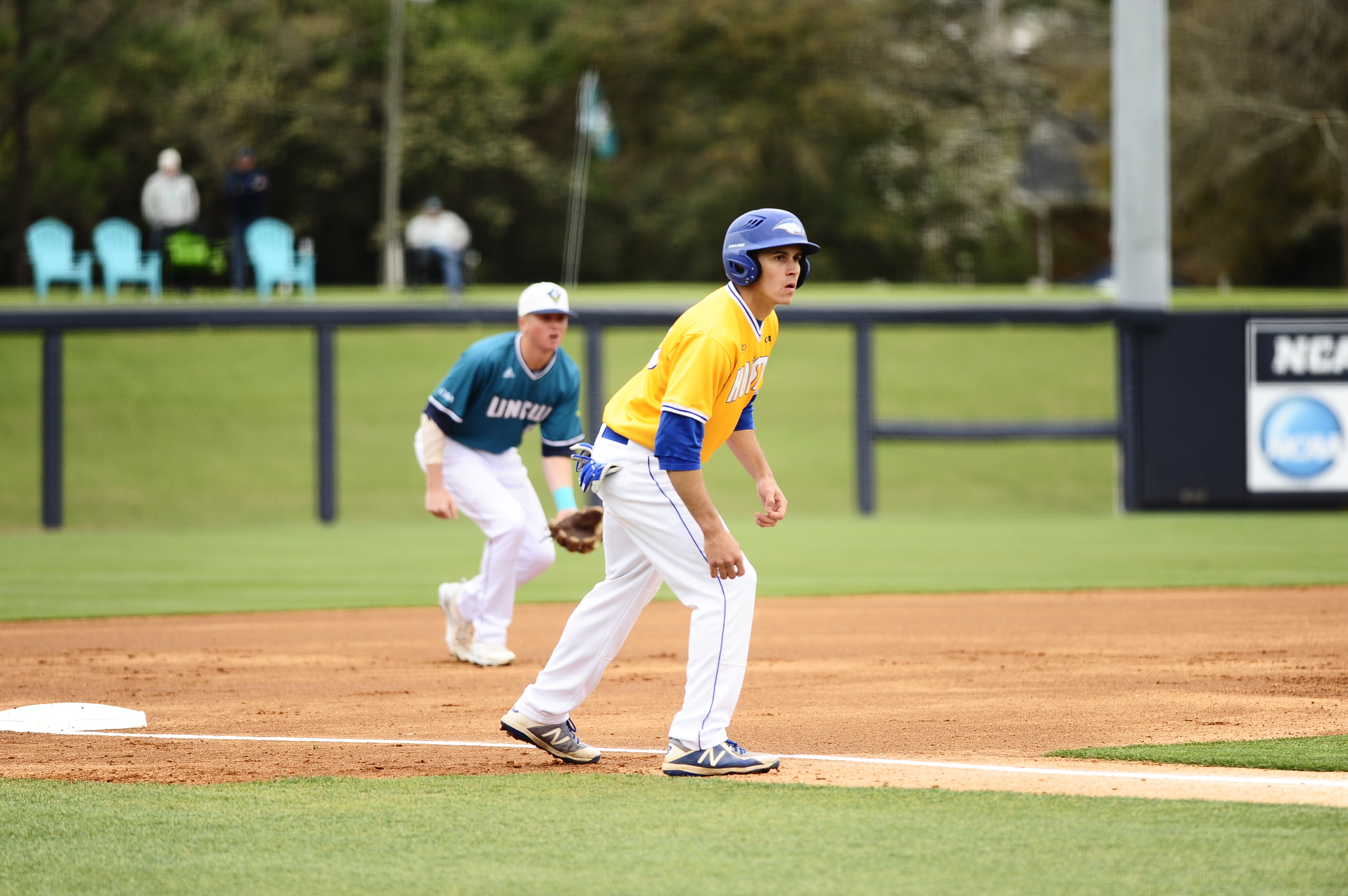 Steven Foster - Baseball - Hofstra University Athletics