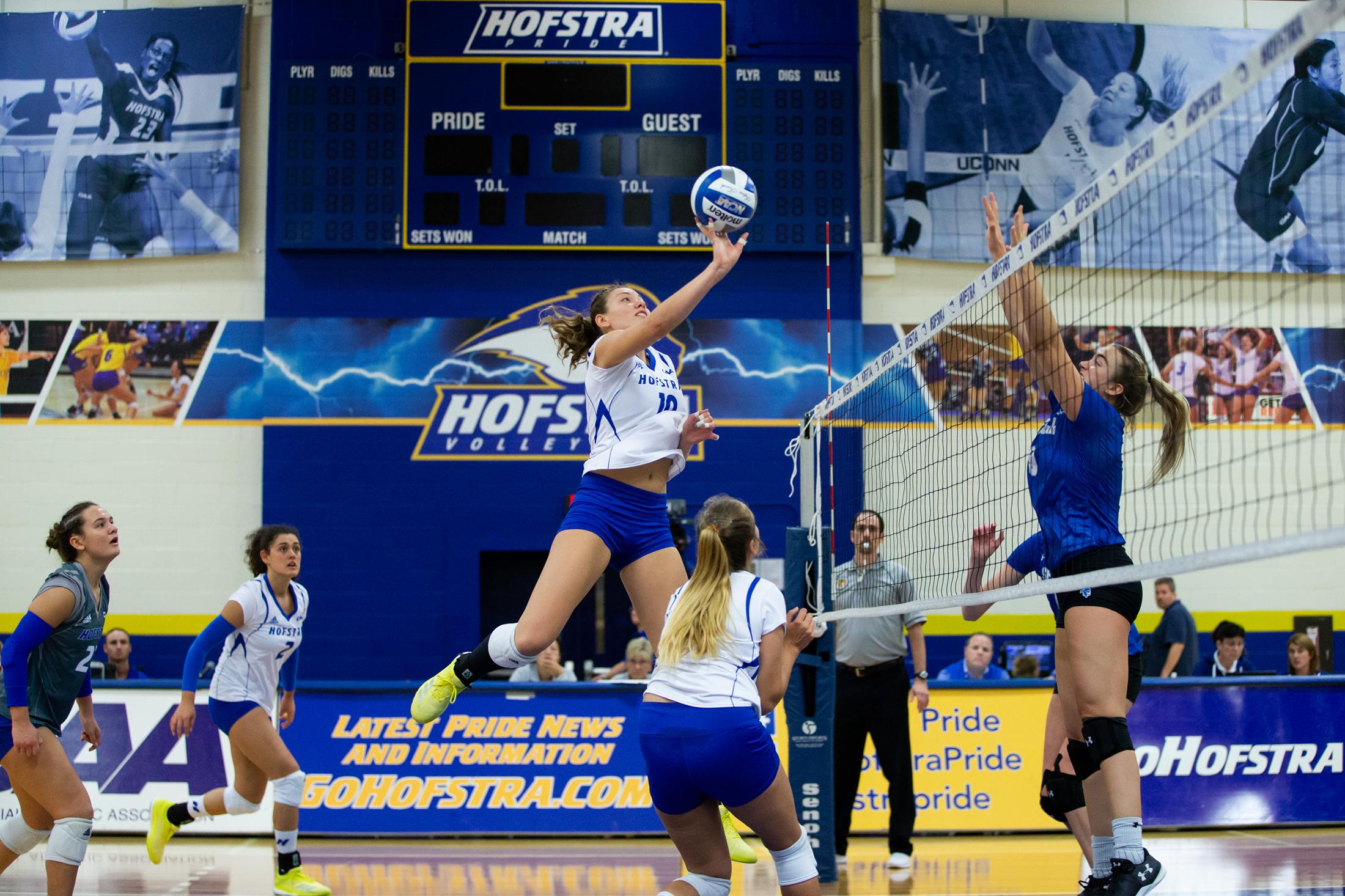 Michela Rucli - Volleyball - Hofstra University Athletics