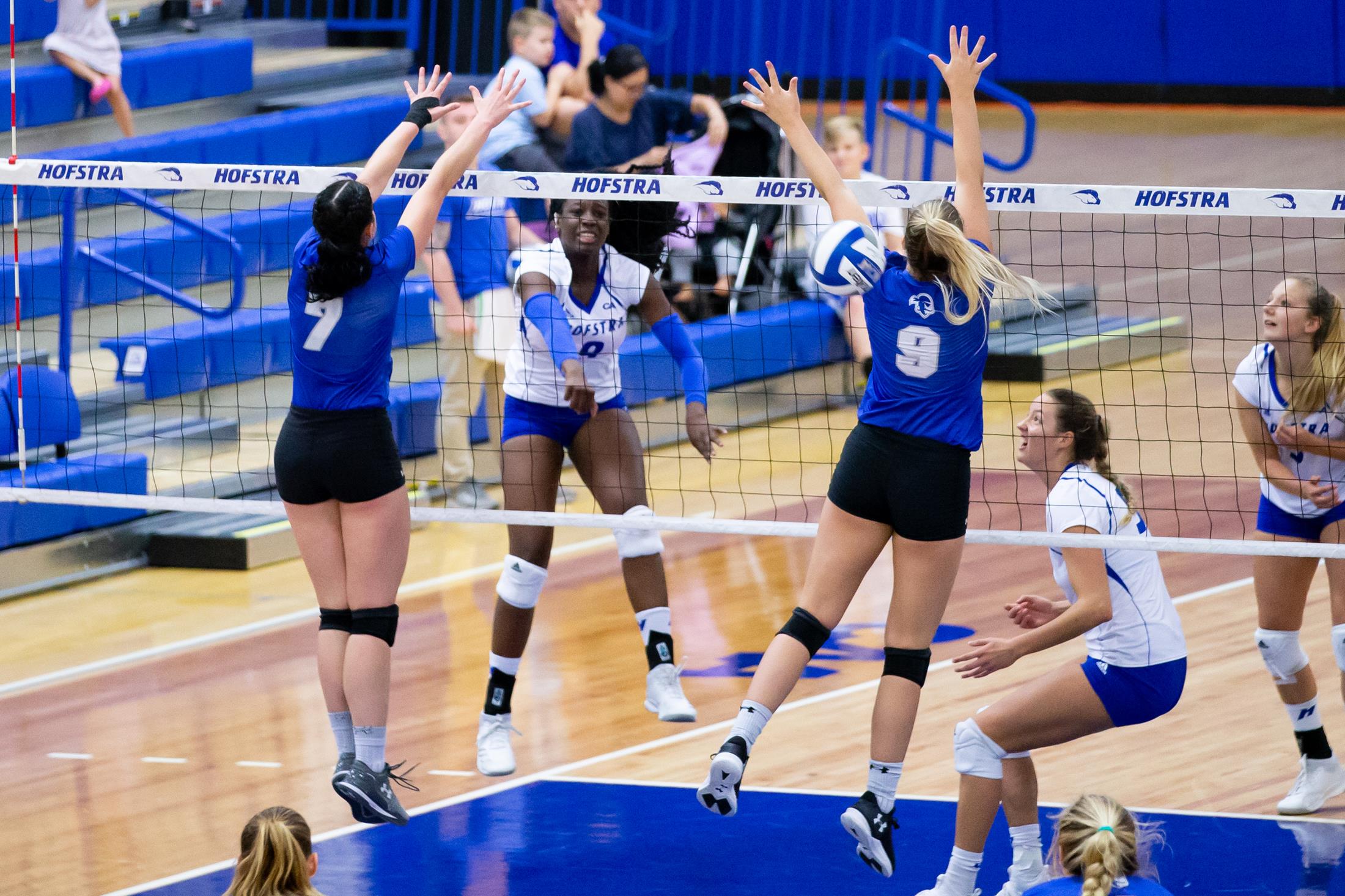 Aisha Skinner - Volleyball - Hofstra University Athletics