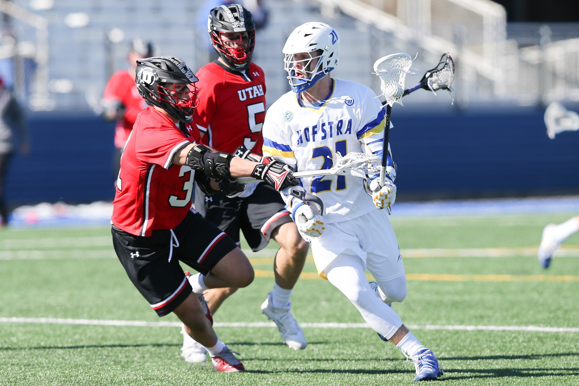 Dylan McIntosh - Men's Lacrosse - Hofstra University Athletics