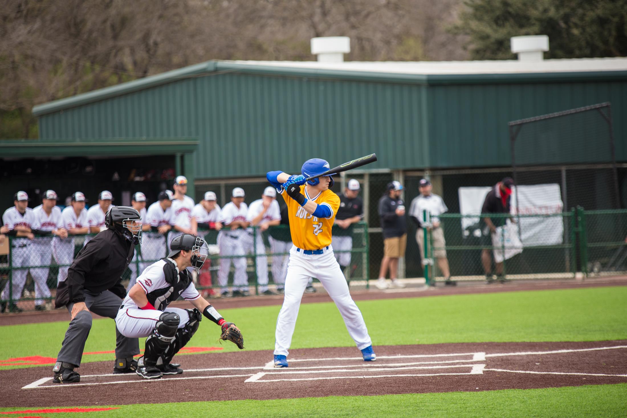 Austin Pollack - Baseball - Hofstra University Athletics