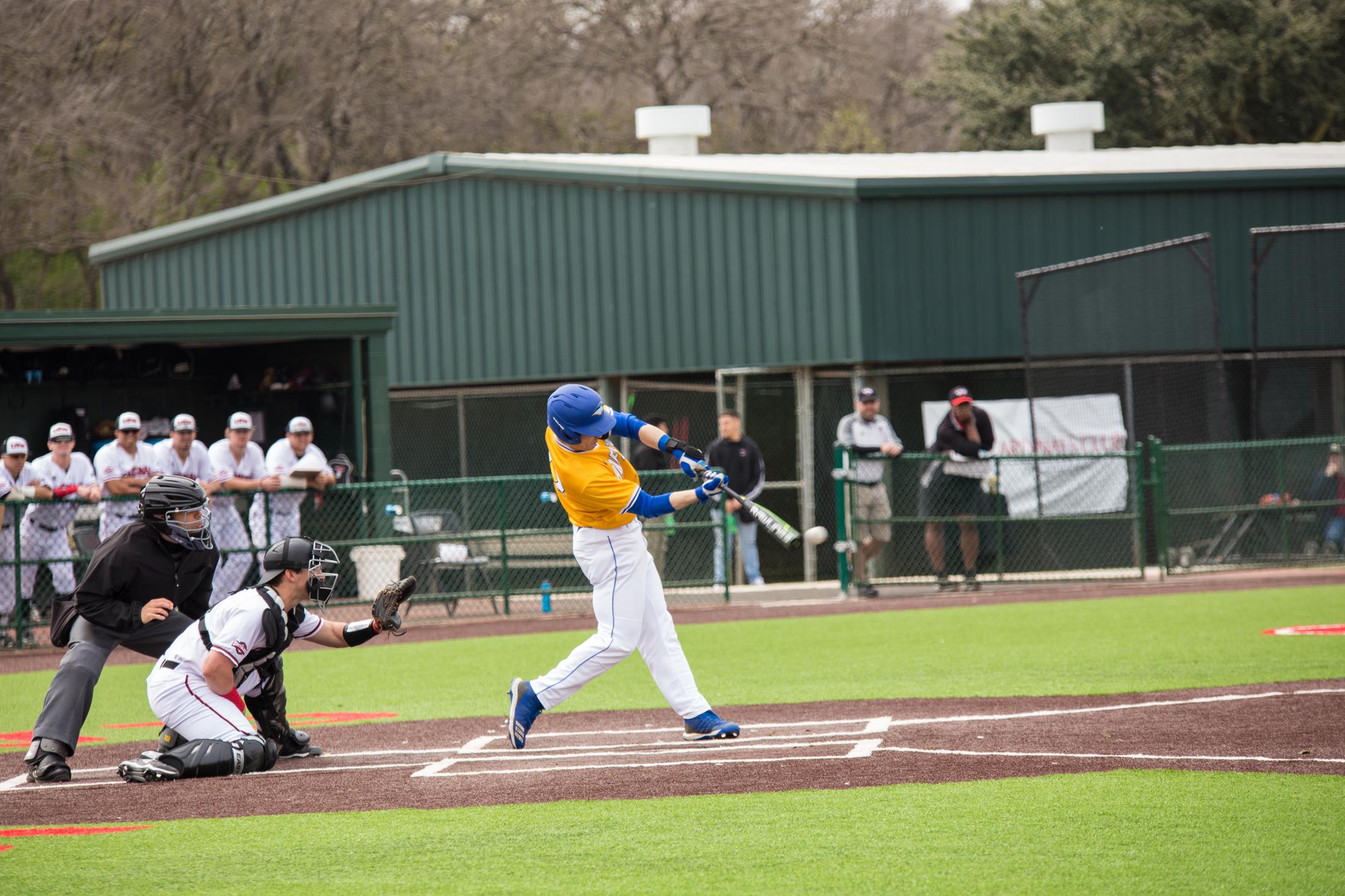 Austin Pollack - Baseball - Hofstra University Athletics
