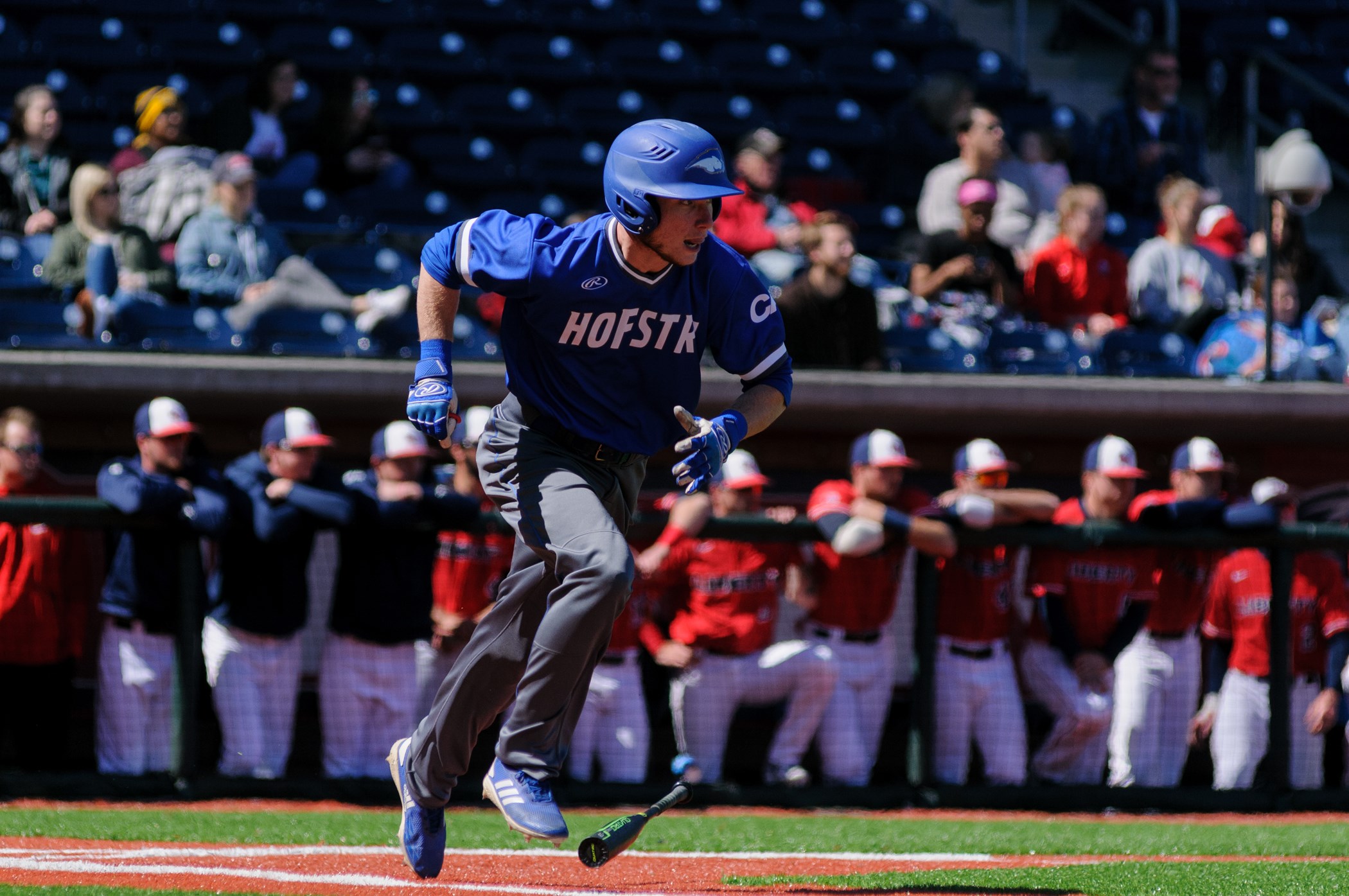 Tyler White - Baseball - Hofstra University Athletics