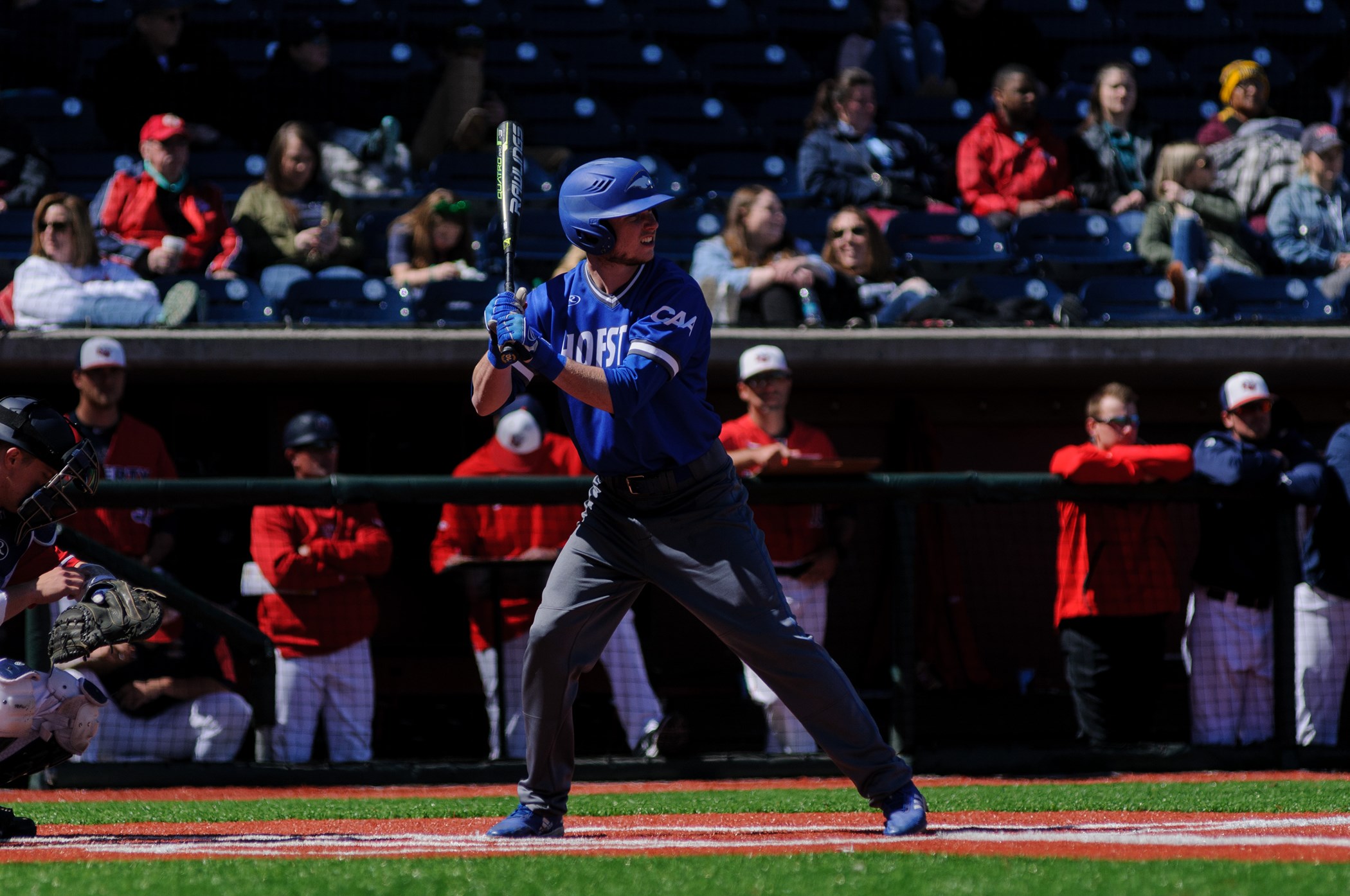 Tyler White - Baseball - Hofstra University Athletics
