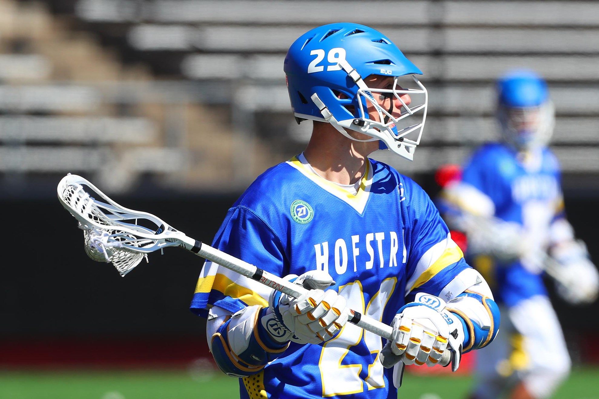 Joe Elarde - Men's Lacrosse - Hofstra University Athletics