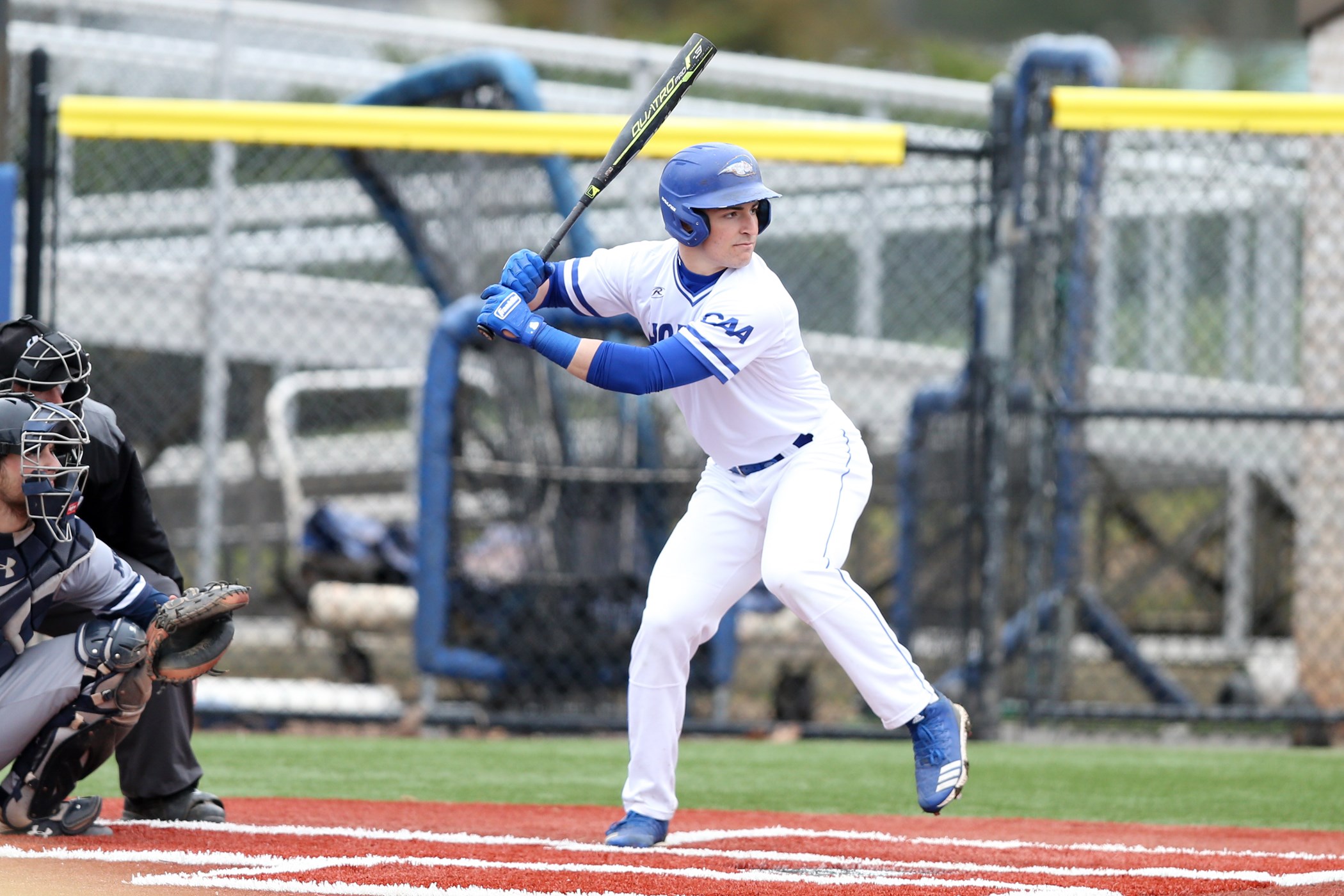 Austin Pollack - Baseball - Hofstra University Athletics