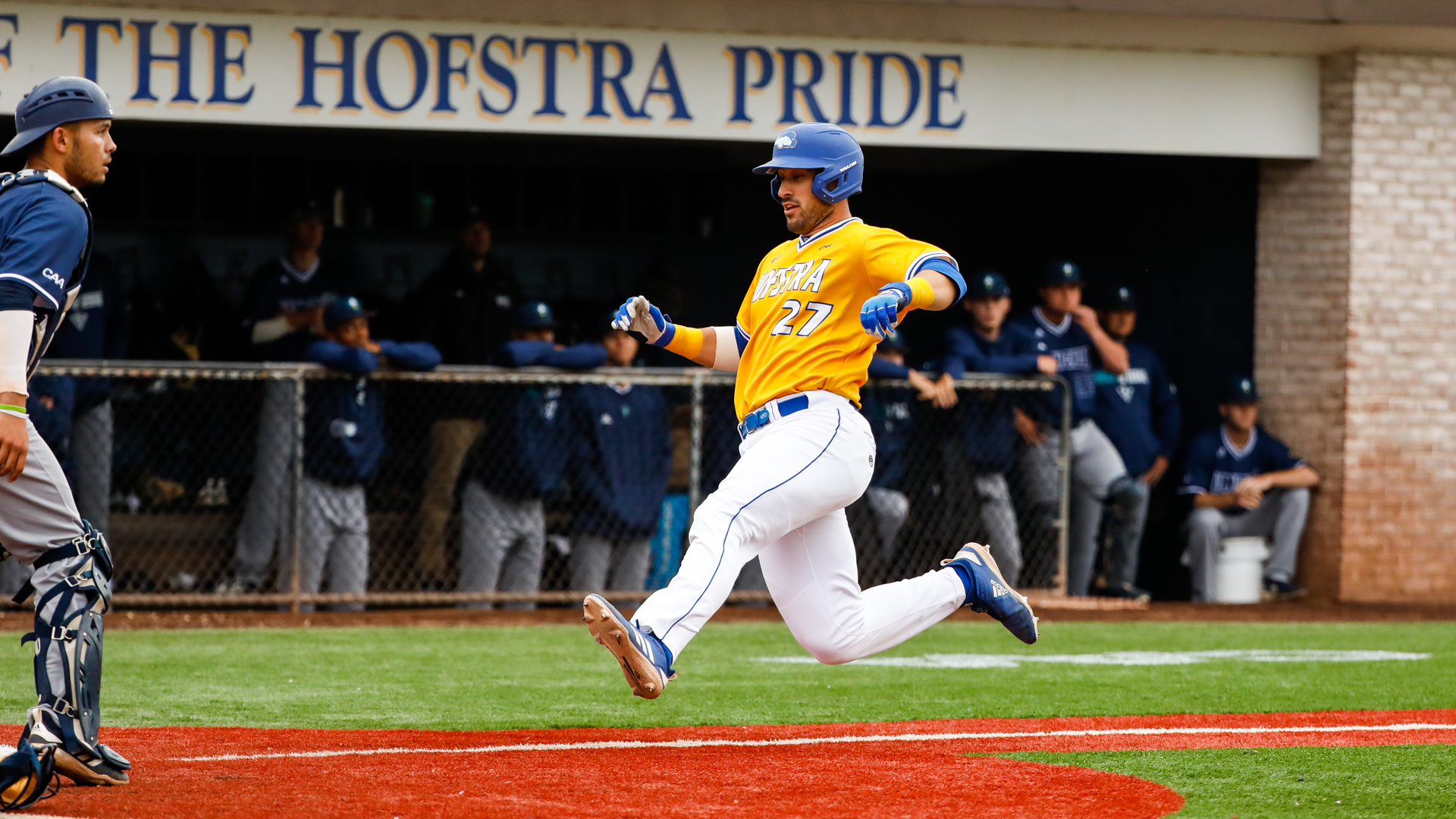 Vito Friscia - Baseball - Hofstra University Athletics