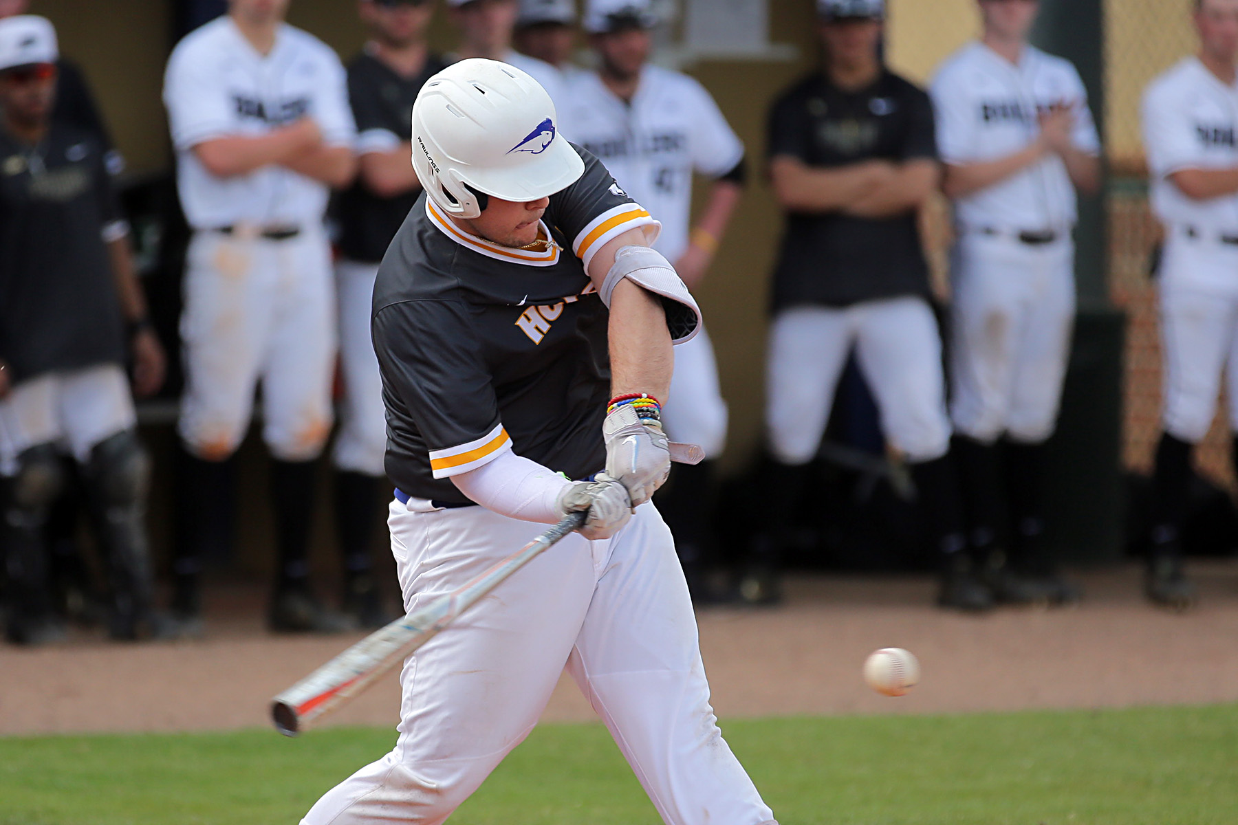 Alex Sica - Baseball - Hofstra University Athletics