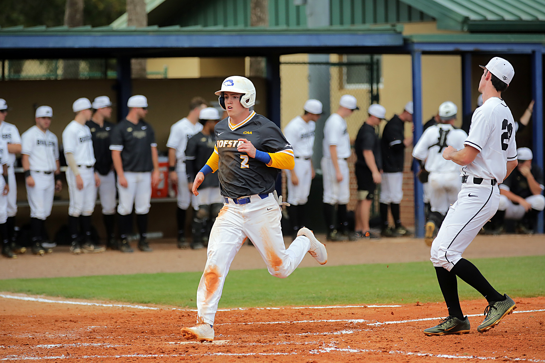 Austin Gauthier - Baseball - Hofstra University Athletics