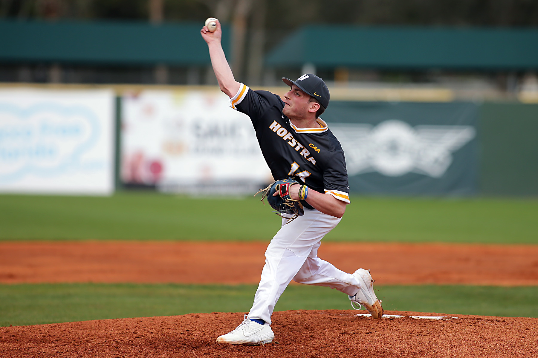 Mark Faello - Baseball - Hofstra University Athletics