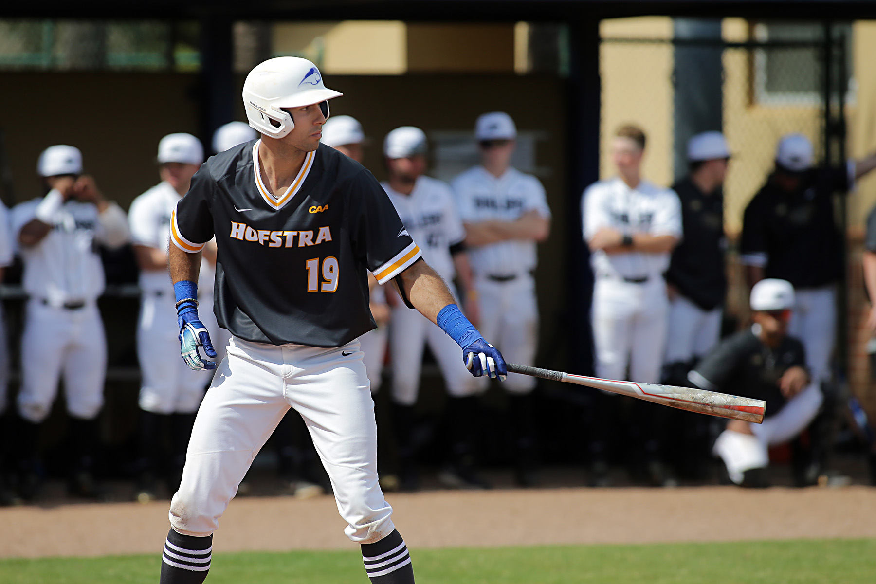 Vinnie Costello - Baseball - Hofstra University Athletics