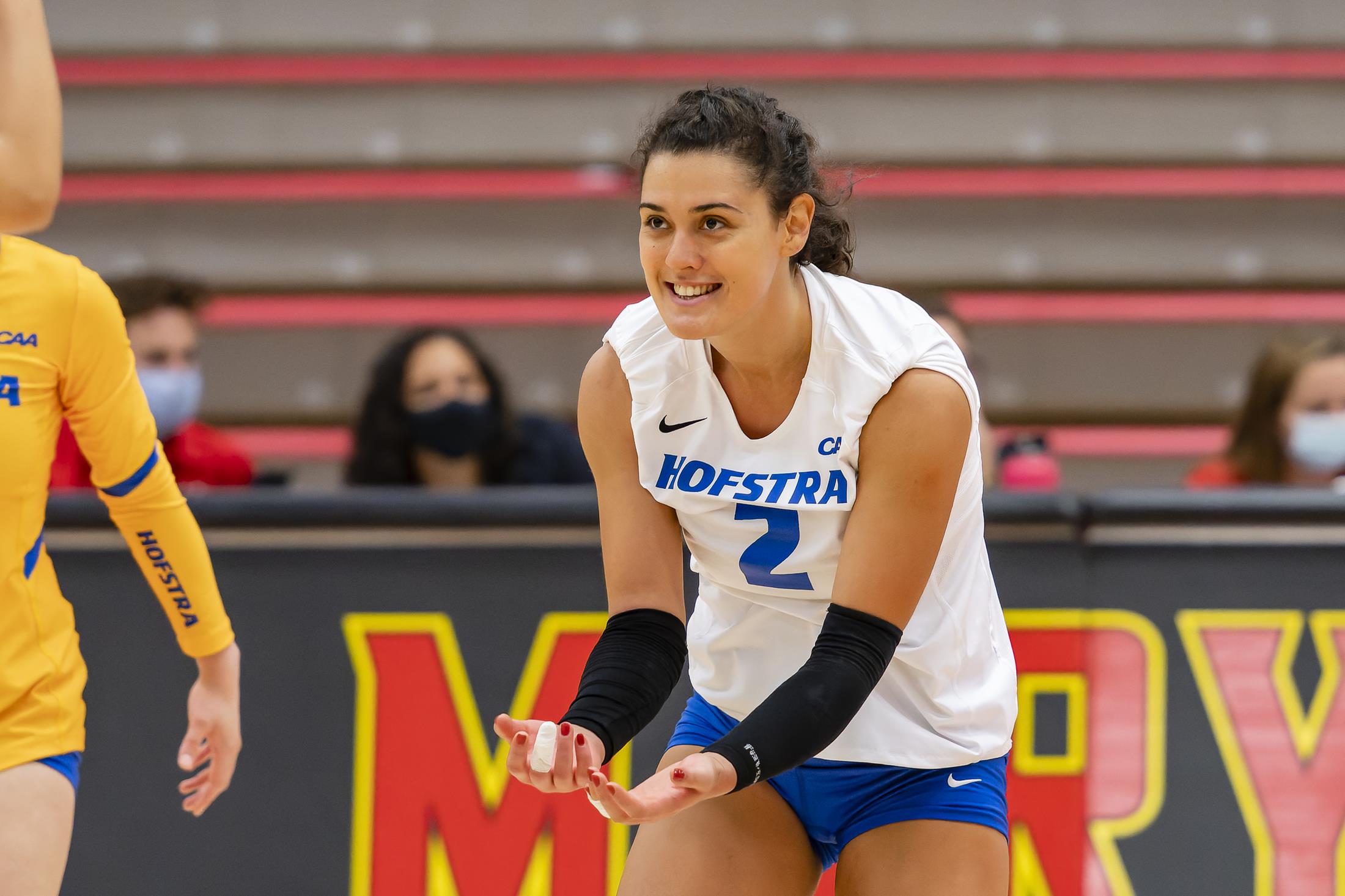 Ana Martinovic - Volleyball - Hofstra University Athletics