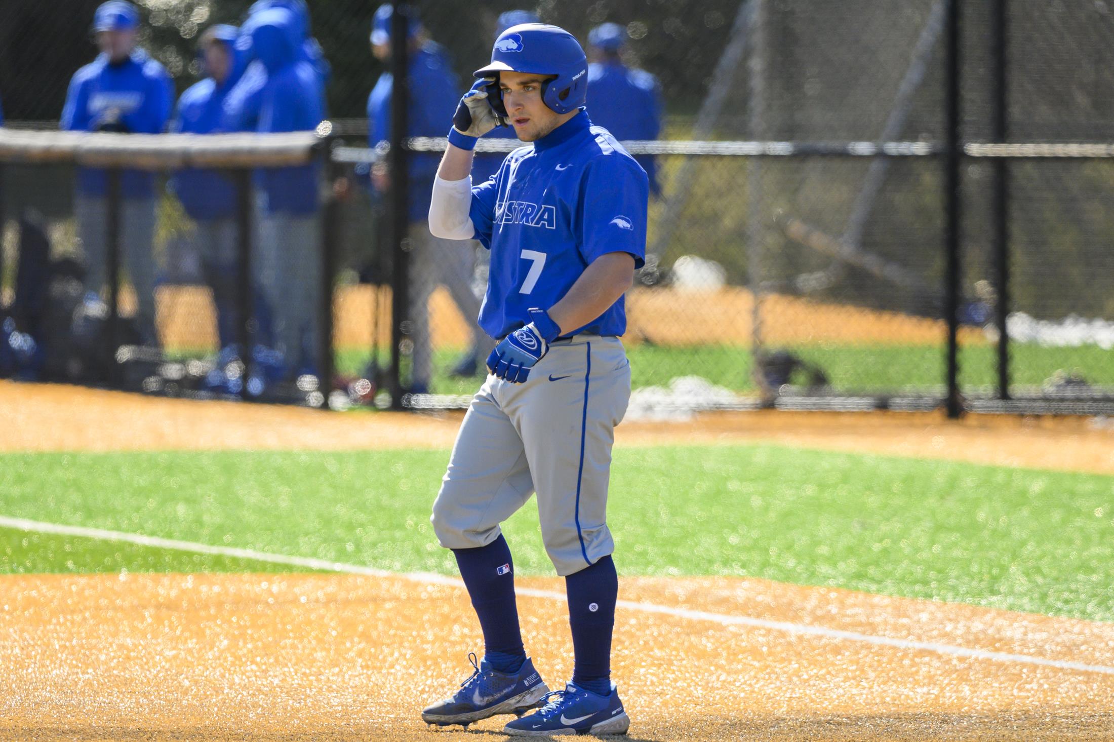 Anthony D'Onofrio - Baseball - Hofstra University Athletics