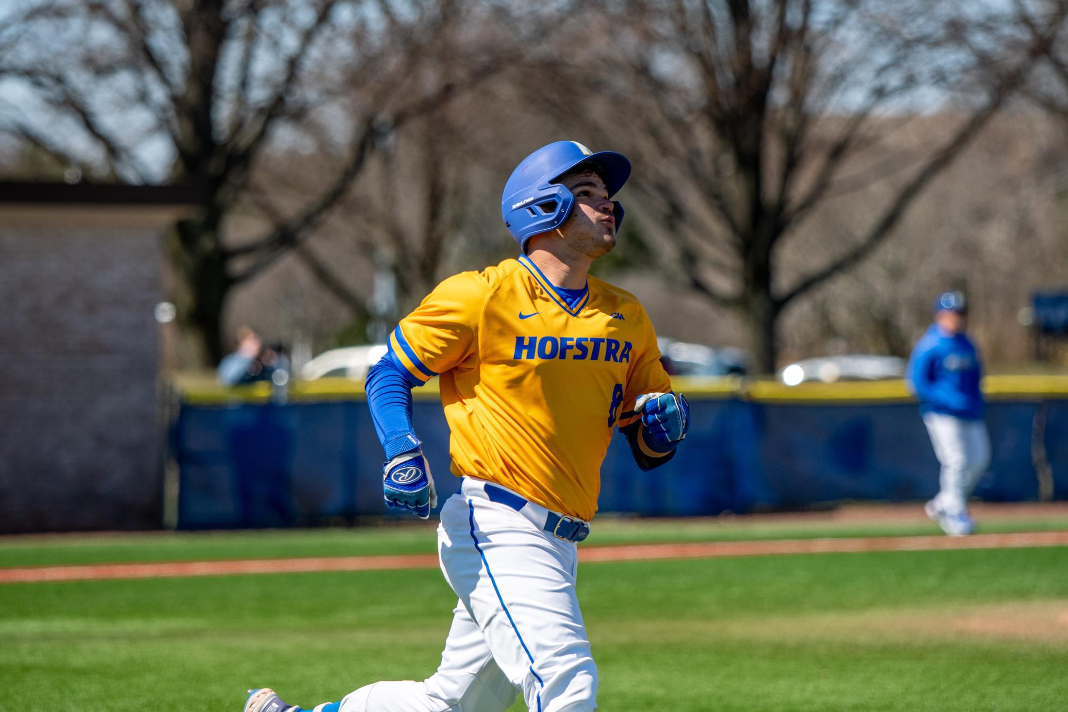 Nick Marrero - Baseball - Hofstra University Athletics