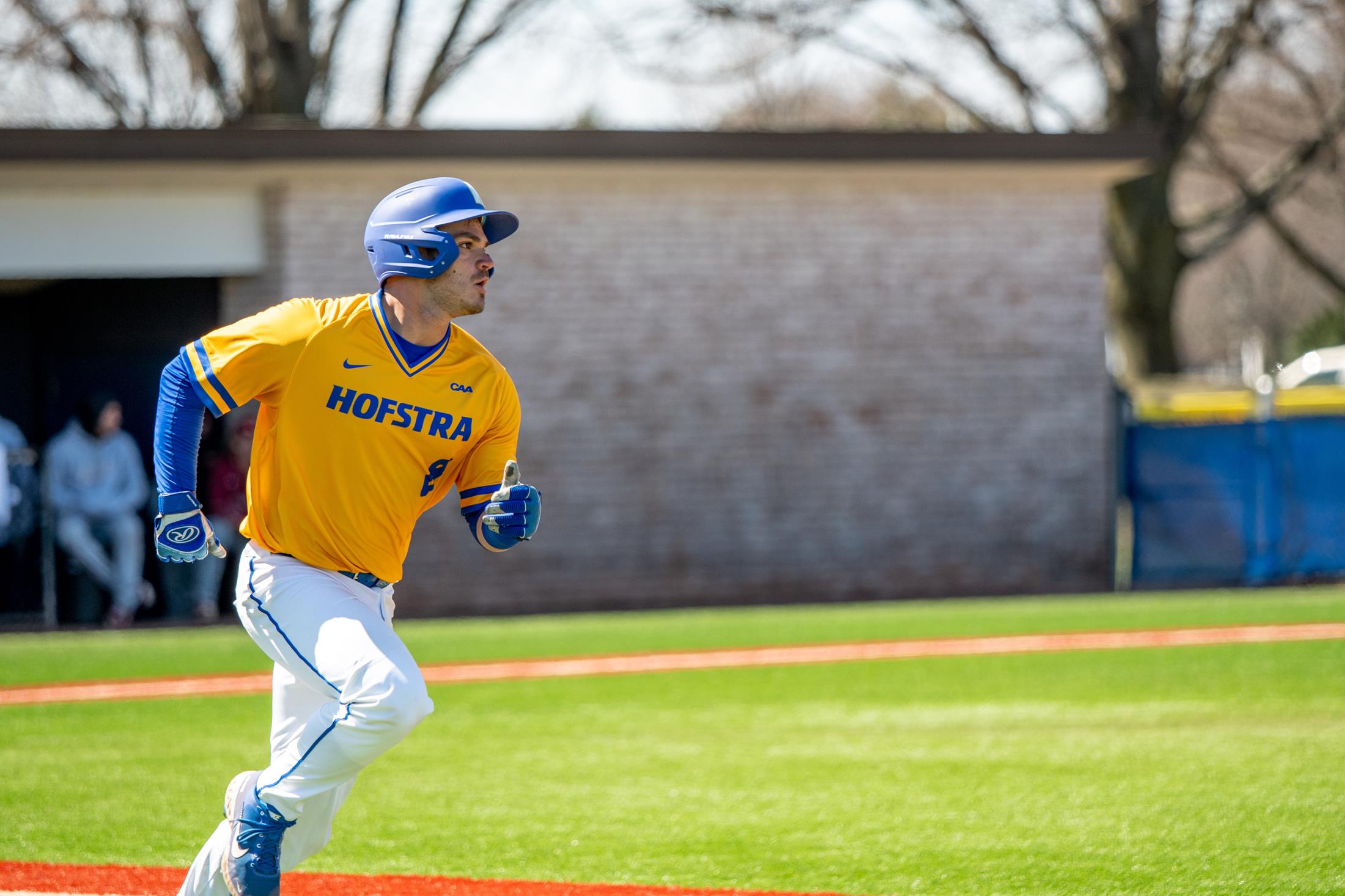 Nick Marrero - Baseball - Hofstra University Athletics