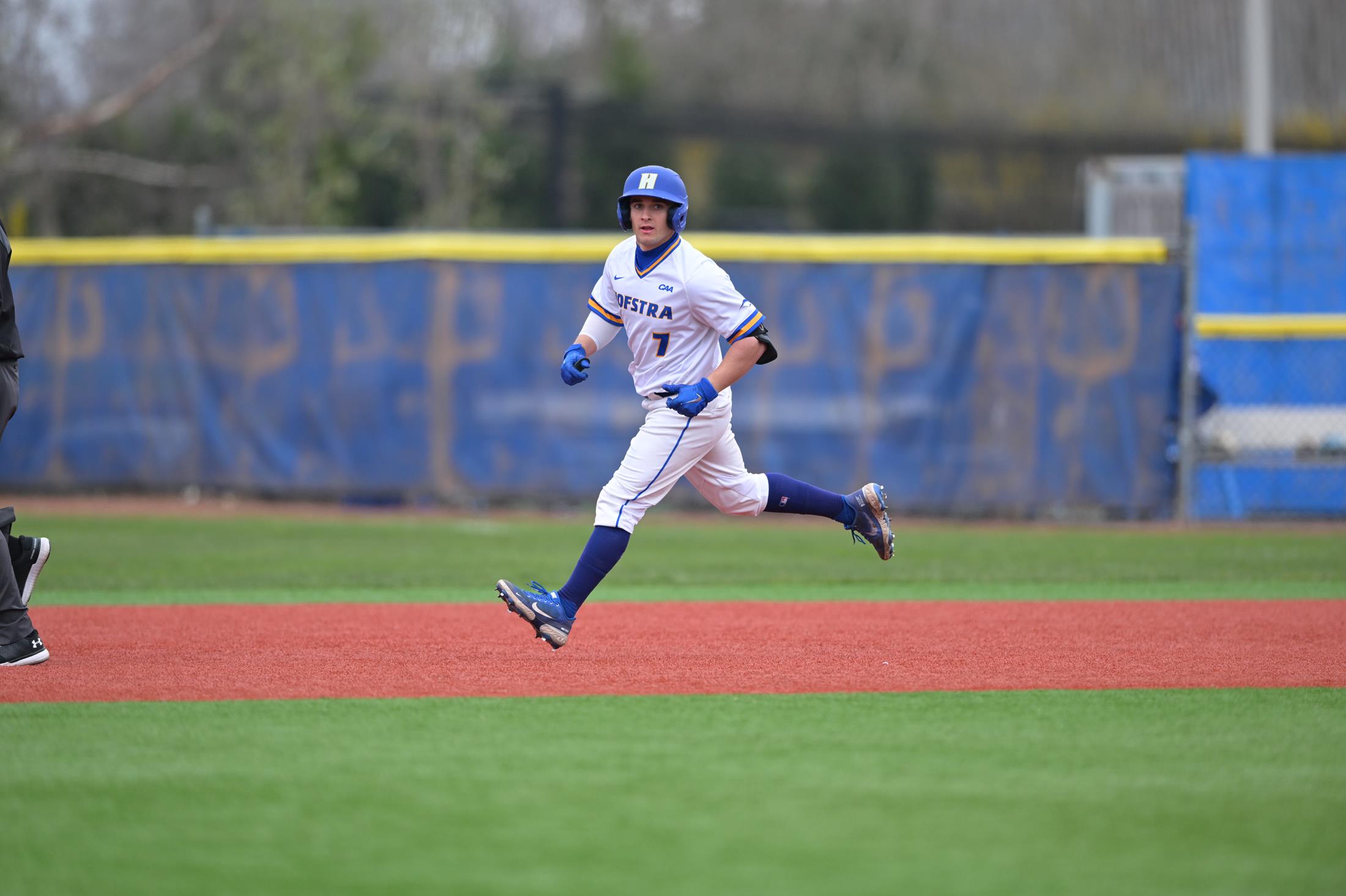 Anthony D'Onofrio - Baseball - Hofstra University Athletics