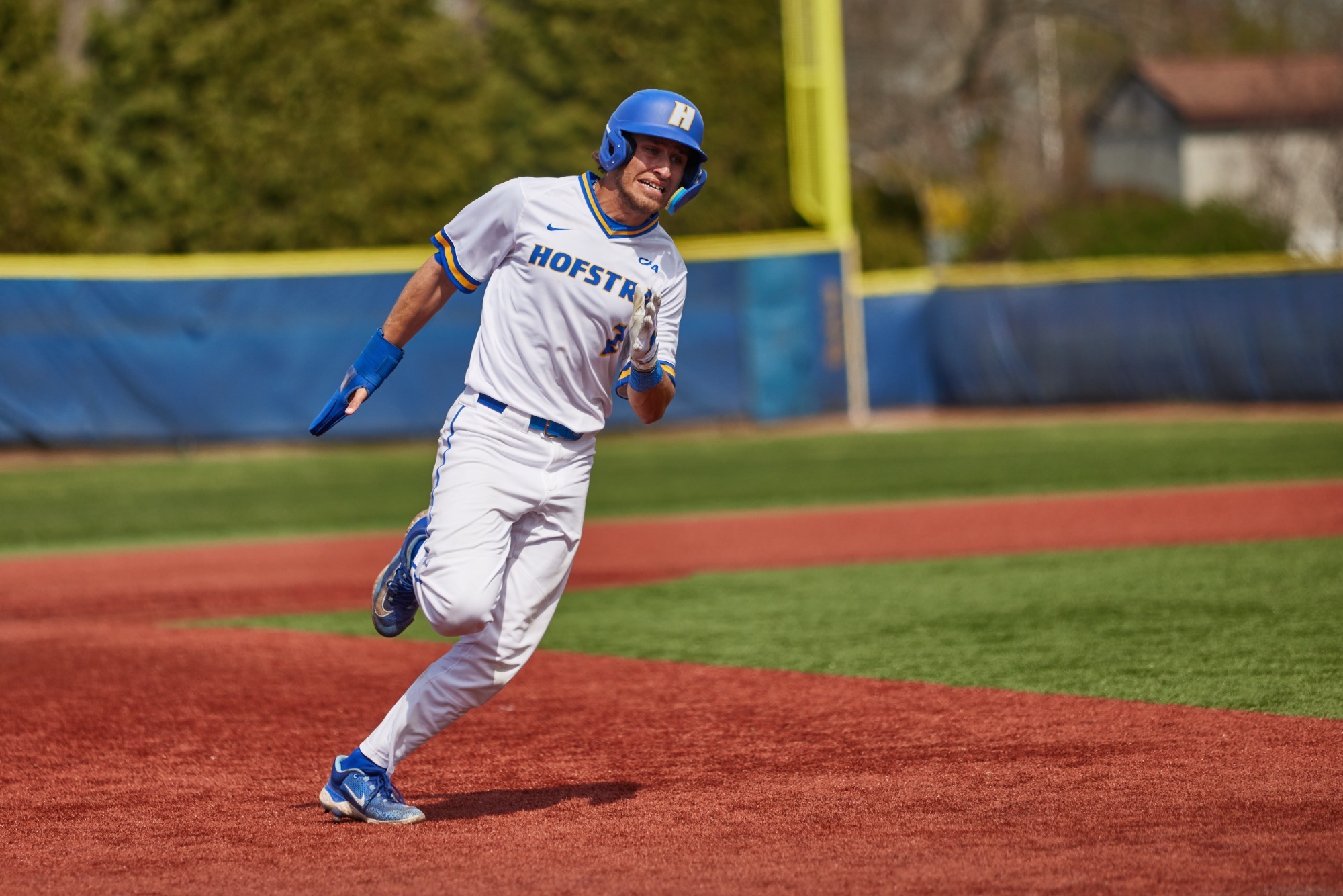 Michael Florides - Baseball - Hofstra University Athletics