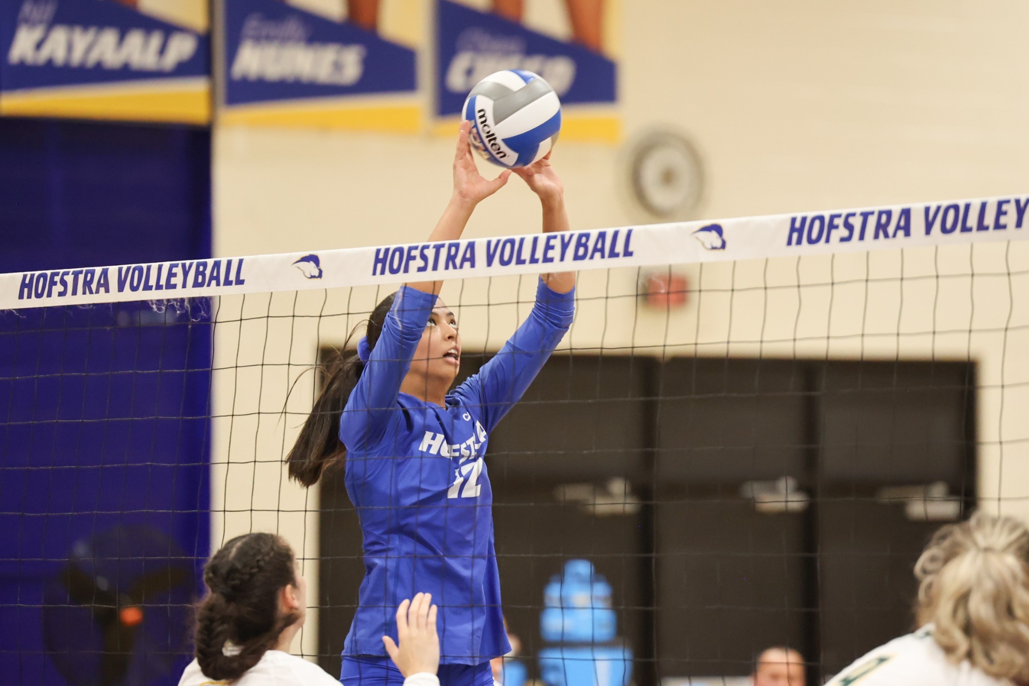 How Sweep It Is; Pride Opens Season With Dominating Victory - Hofstra ...
