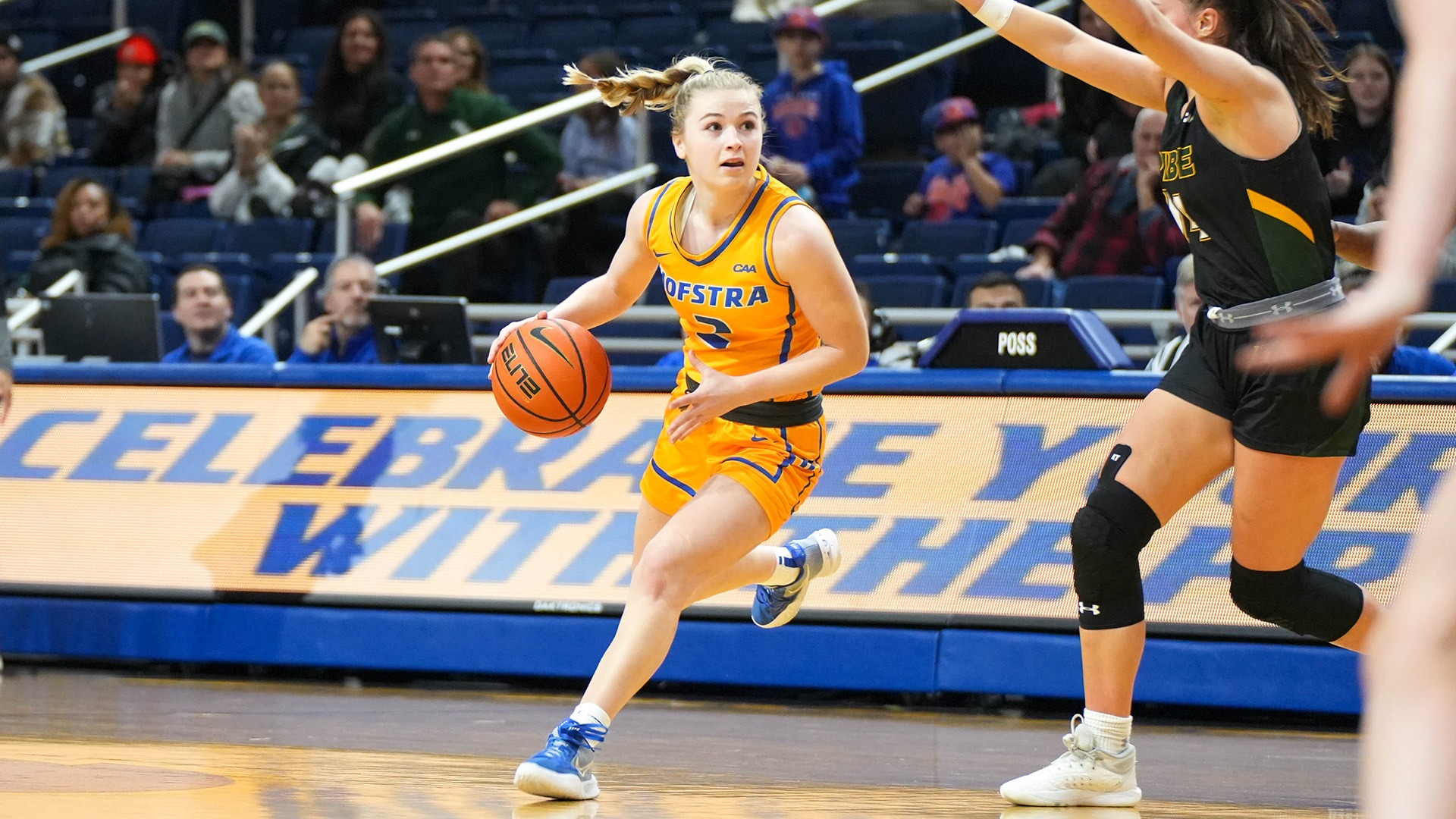 Hofstra Stumbles in Road Loss - Hofstra University Athletics