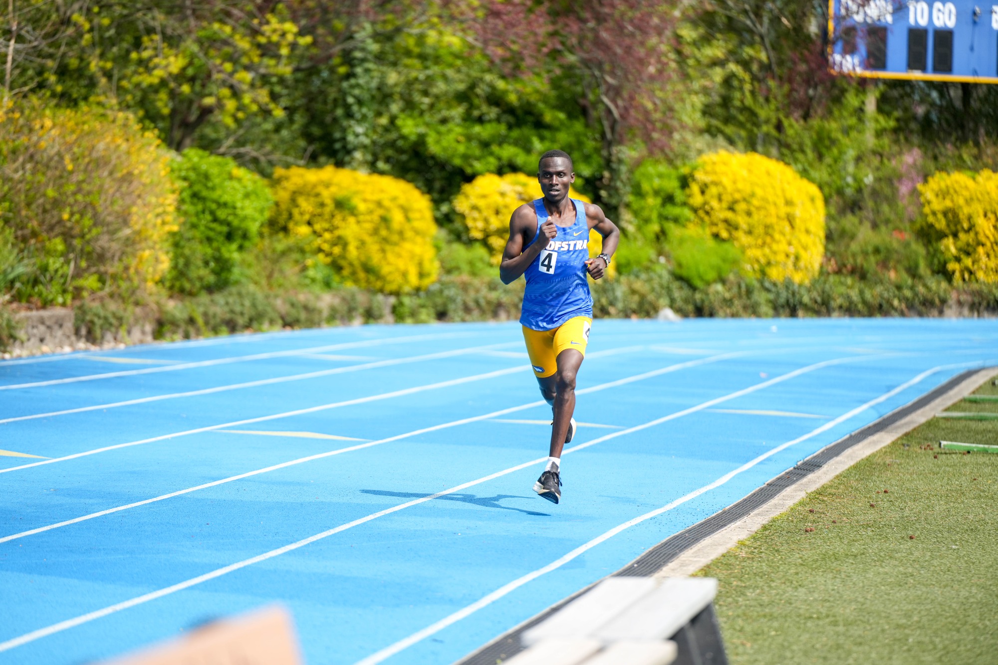 Longosiwa, Torrillo, Beck and Love Earn Top-10 Finishes at CAA Outdoor ...