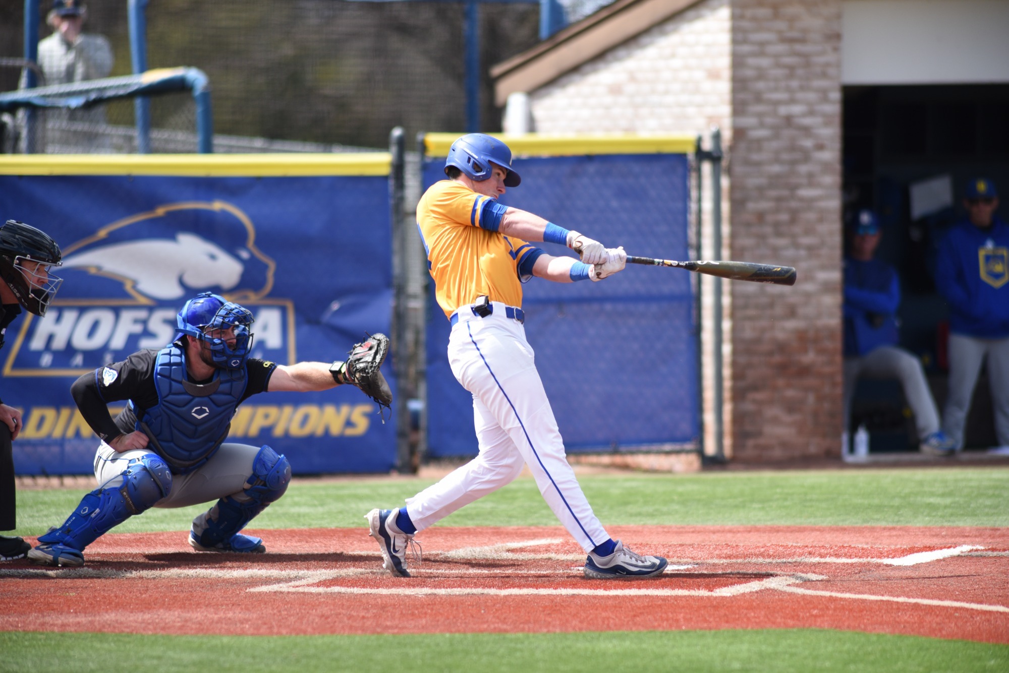 Hofstra Drops Series Finale To Delaware - Hofstra University Athletics