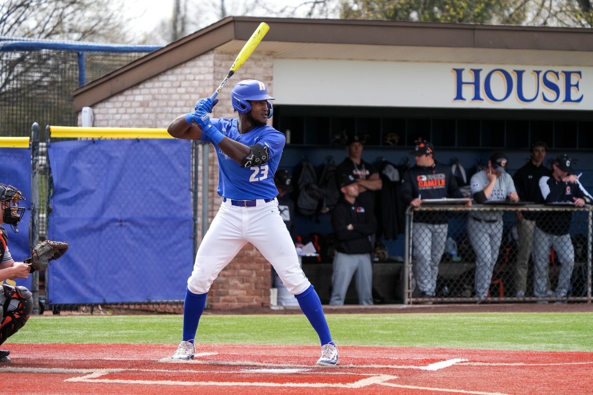 McCoy's Three RBIs Lift Hofstra Past Seton Hall - Hofstra University ...